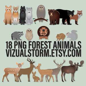 Desert Wildlife Clipart Bundle - PNG Animal Illustrations, Arid Habitat ...