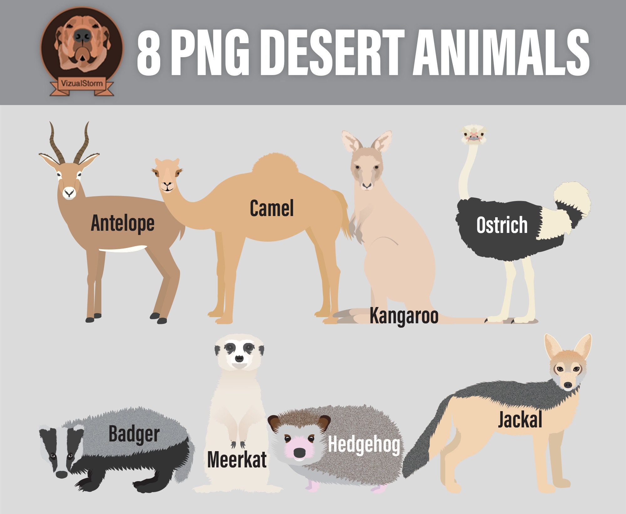 Desert Wildlife Clipart Bundle - PNG Animal Illustrations, Arid Habitat ...