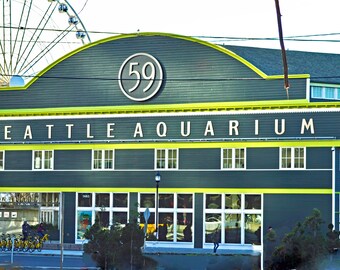 Seattle Photography - Etsy