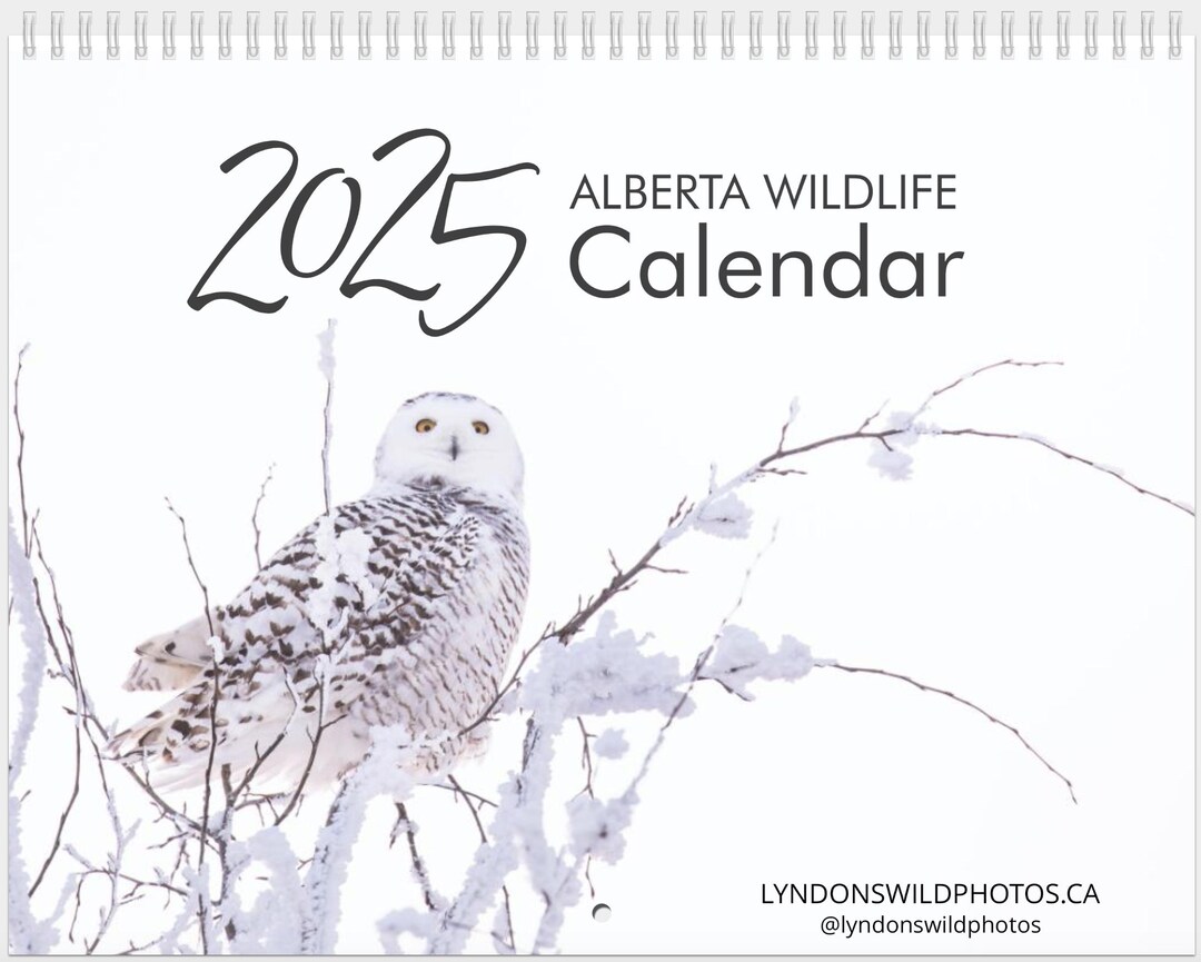 2025 Alberta Wildlife Calendar - Etsy