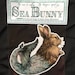 Sea Bunny Vinyl Sticker - Bunny Decal, Rabbit Decal, Easter Decal ...