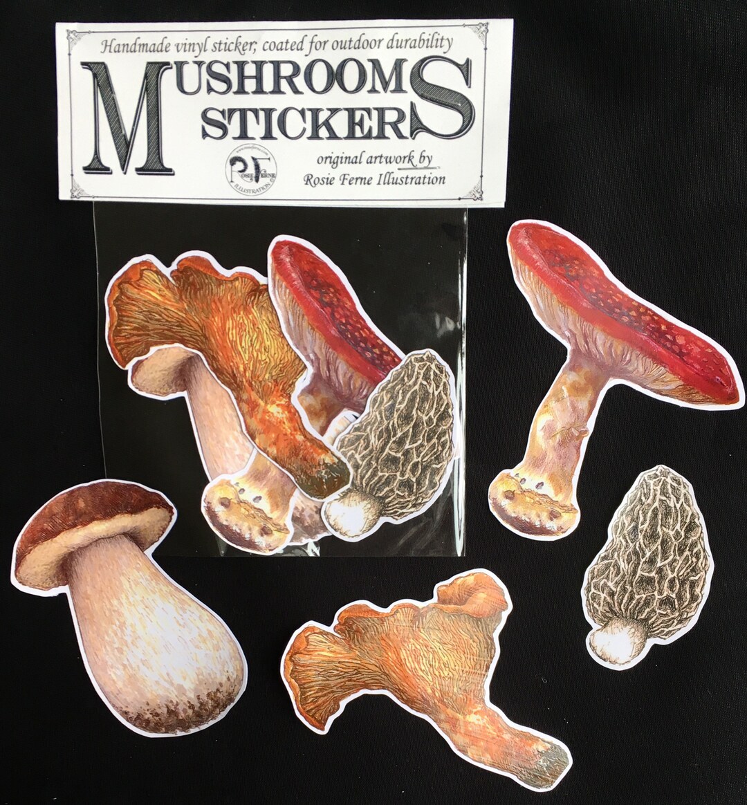 Mushroom Sticker Pack 4 Vinyl Fungi Species Amanita Morel - Etsy