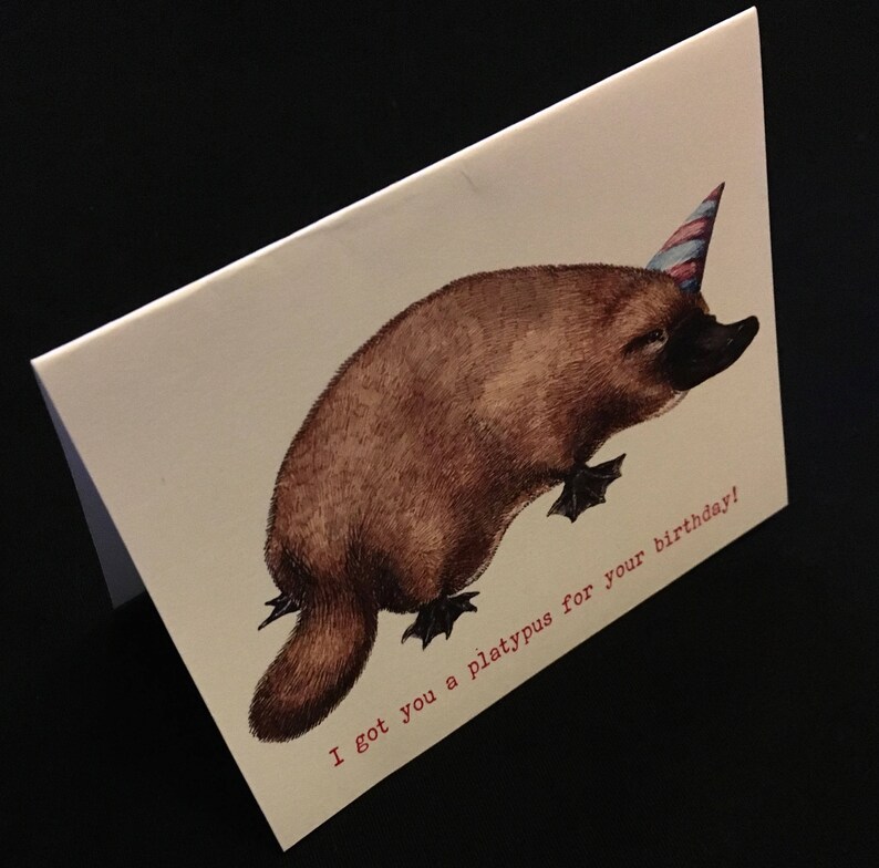 I Got You A Platypus for Your Birthday Card- Funny Birthday Card With ...