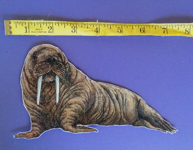 Walrus Vinyl Sticker I Am the Walrus Sticker | Etsy