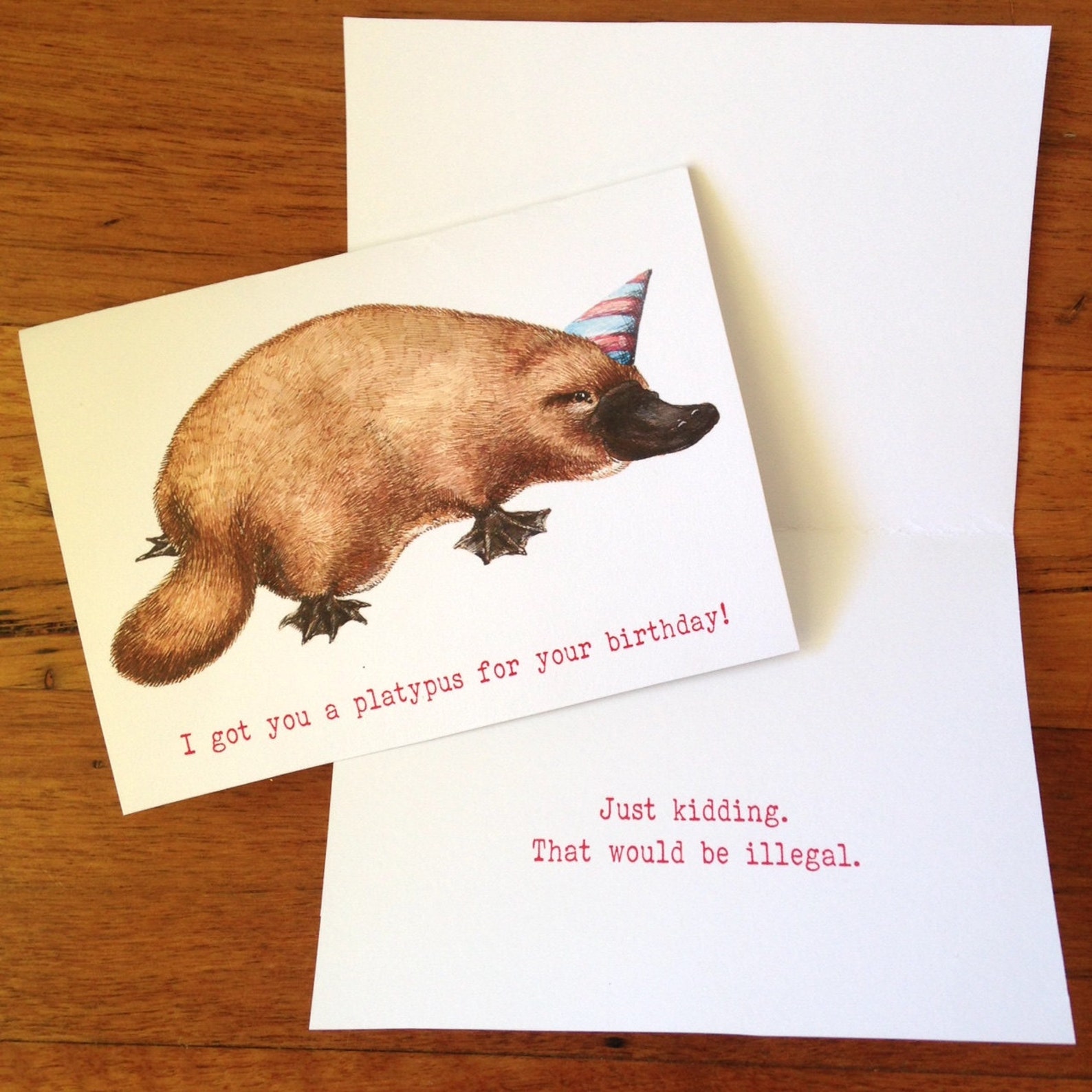 I Got You A Platypus for Your Birthday Card- Funny Birthday Card With ...