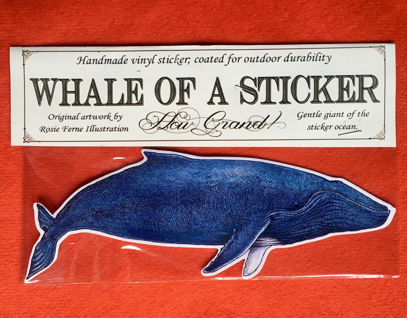 Whale Sticker Giant 7 Vinyl Sticker With Original Whale - Etsy