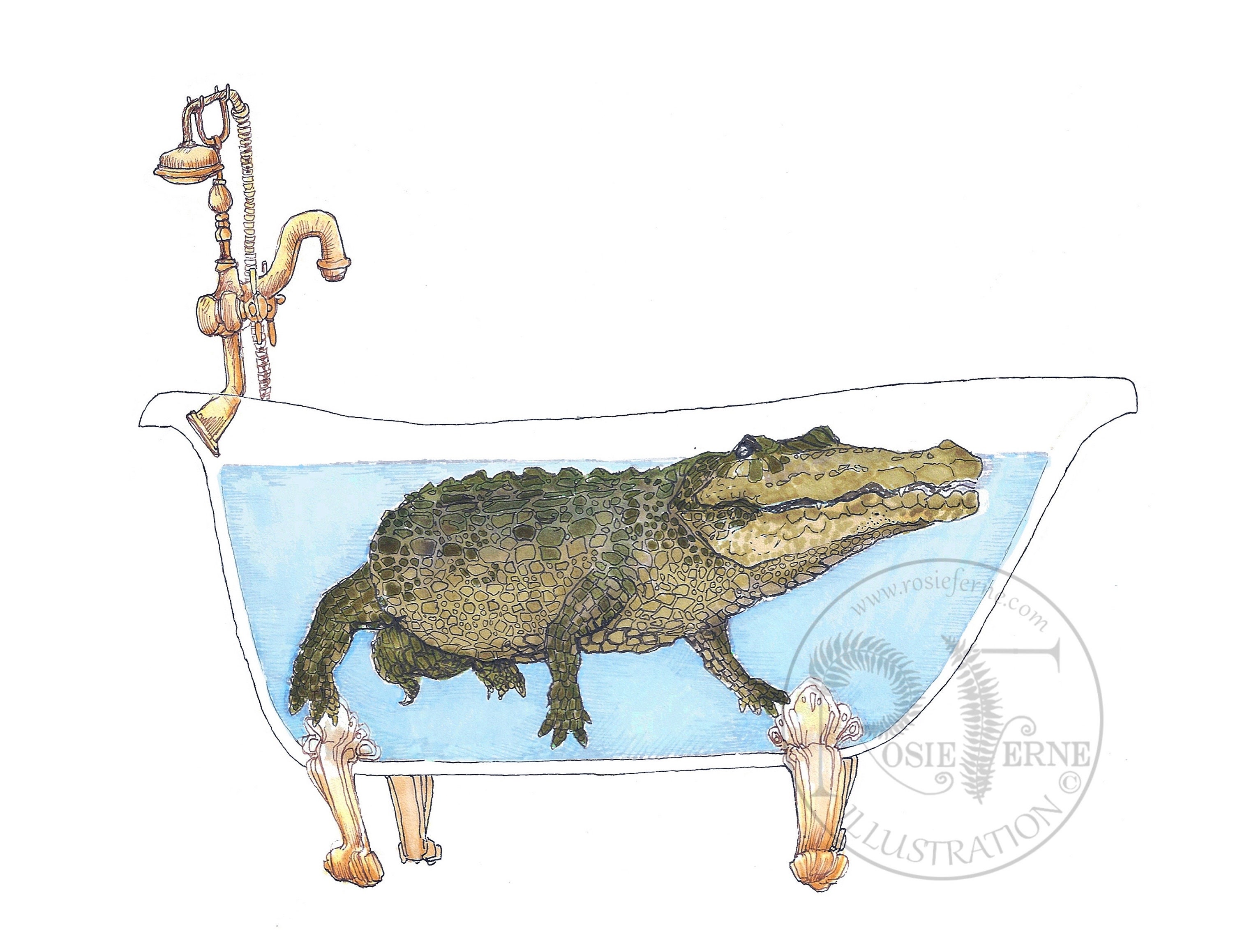 Crocodile In Water Drawing
