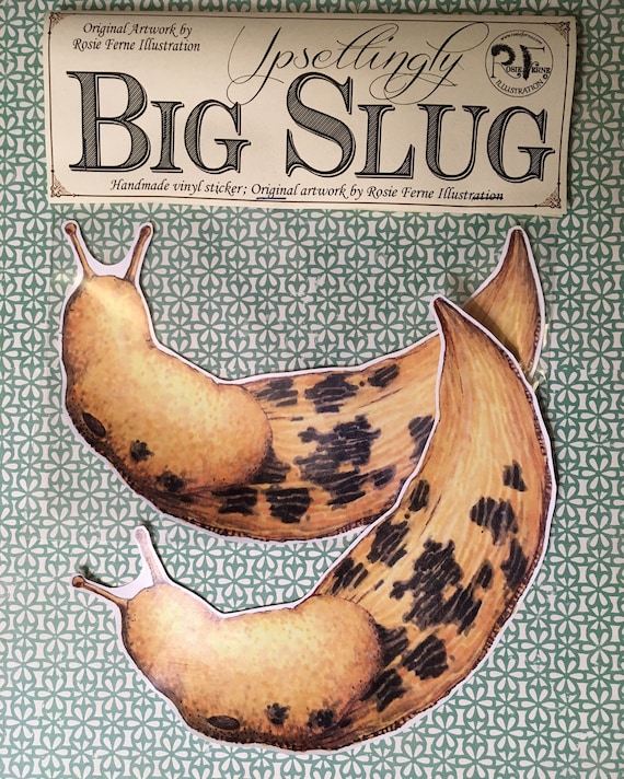 Big Slug Vinyl Sticker Giant 9 Banana Slug Sticker | Etsy
