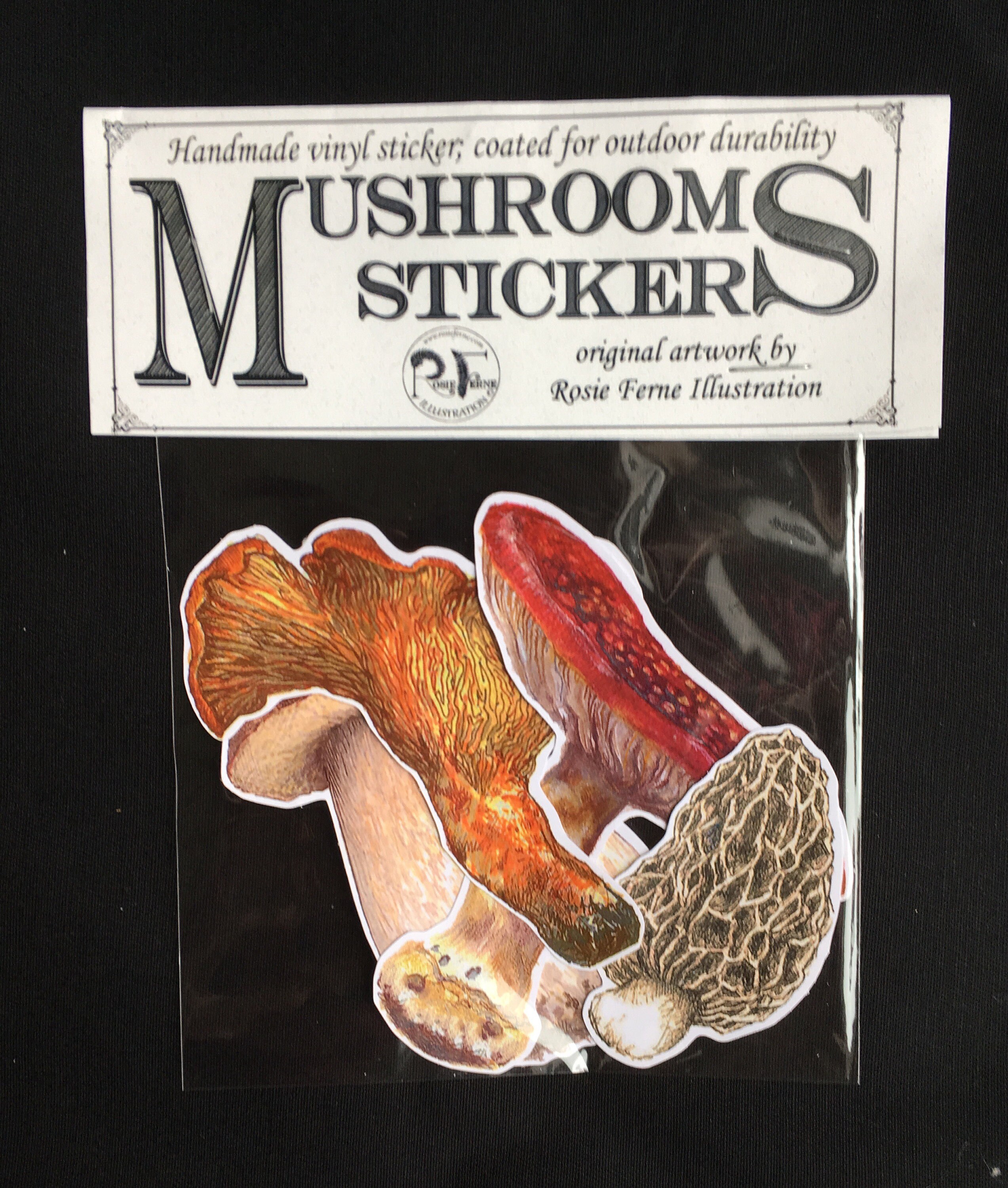 Mushroom Sticker Pack 4 Vinyl Fungi Species Amanita Morel | Etsy