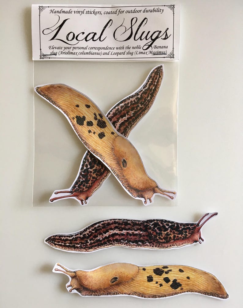 Banana slug and Leopard slug sticker pack 2 vinyl stickers | Etsy