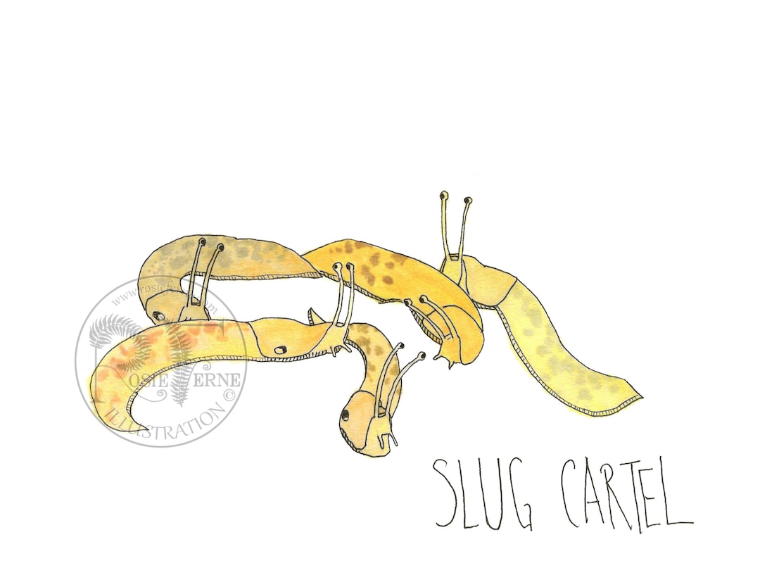 Slug Cartel Art Print, Original Comic Artwork Cartoon Drawing of Cute ...