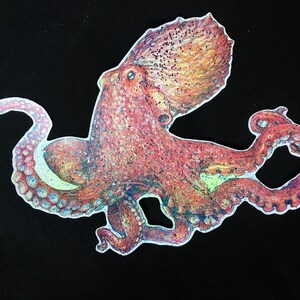 Octopus Sticker- Vinyl Sticker, Pacific Giant Octopus, Handmade ...