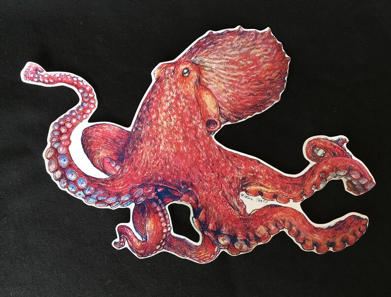 Octopus Sticker- Vinyl Sticker, Pacific Giant Octopus, Handmade ...