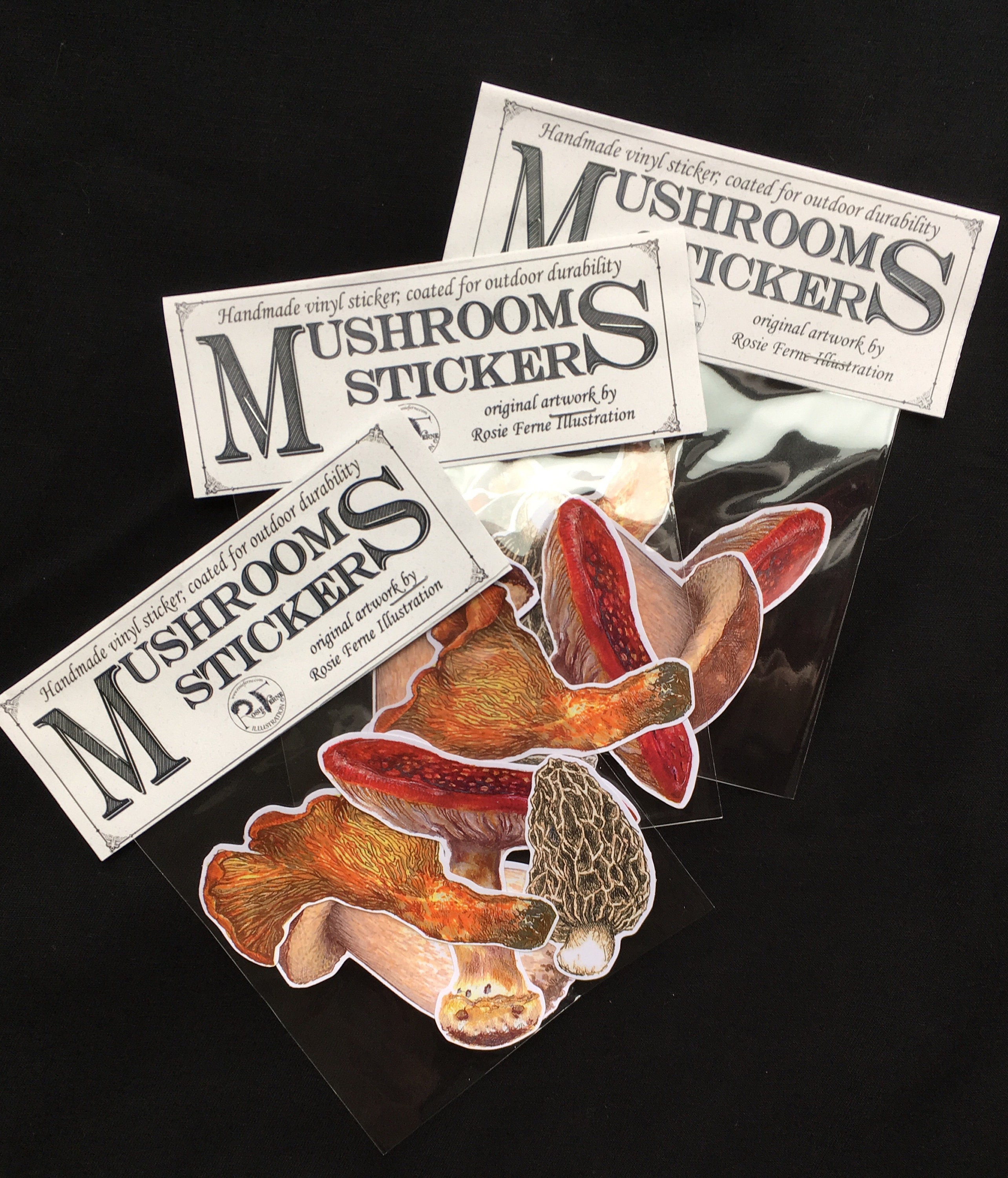 Mushroom sticker pack 4 vinyl fungi species amanita morel | Etsy