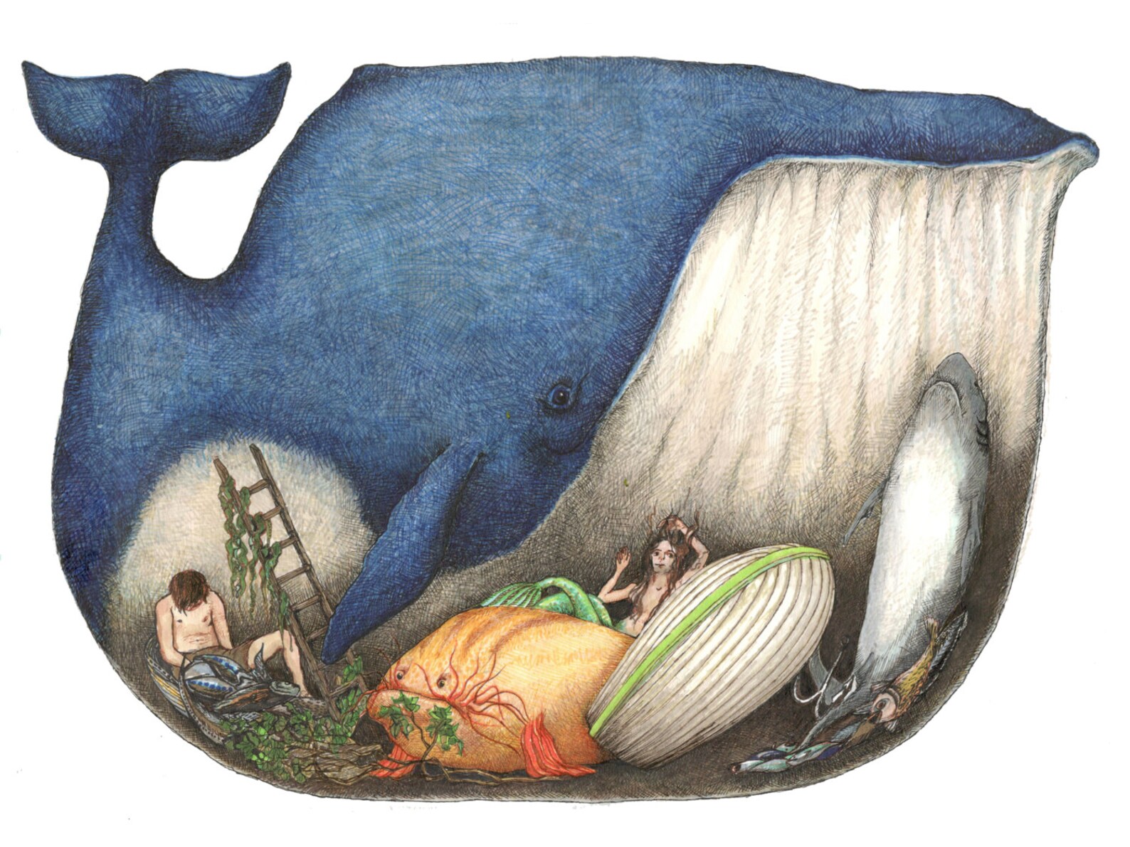 Whale "i Am Large, I Contain Multitudes" Art Print, 8.5 by 11 Inches ...