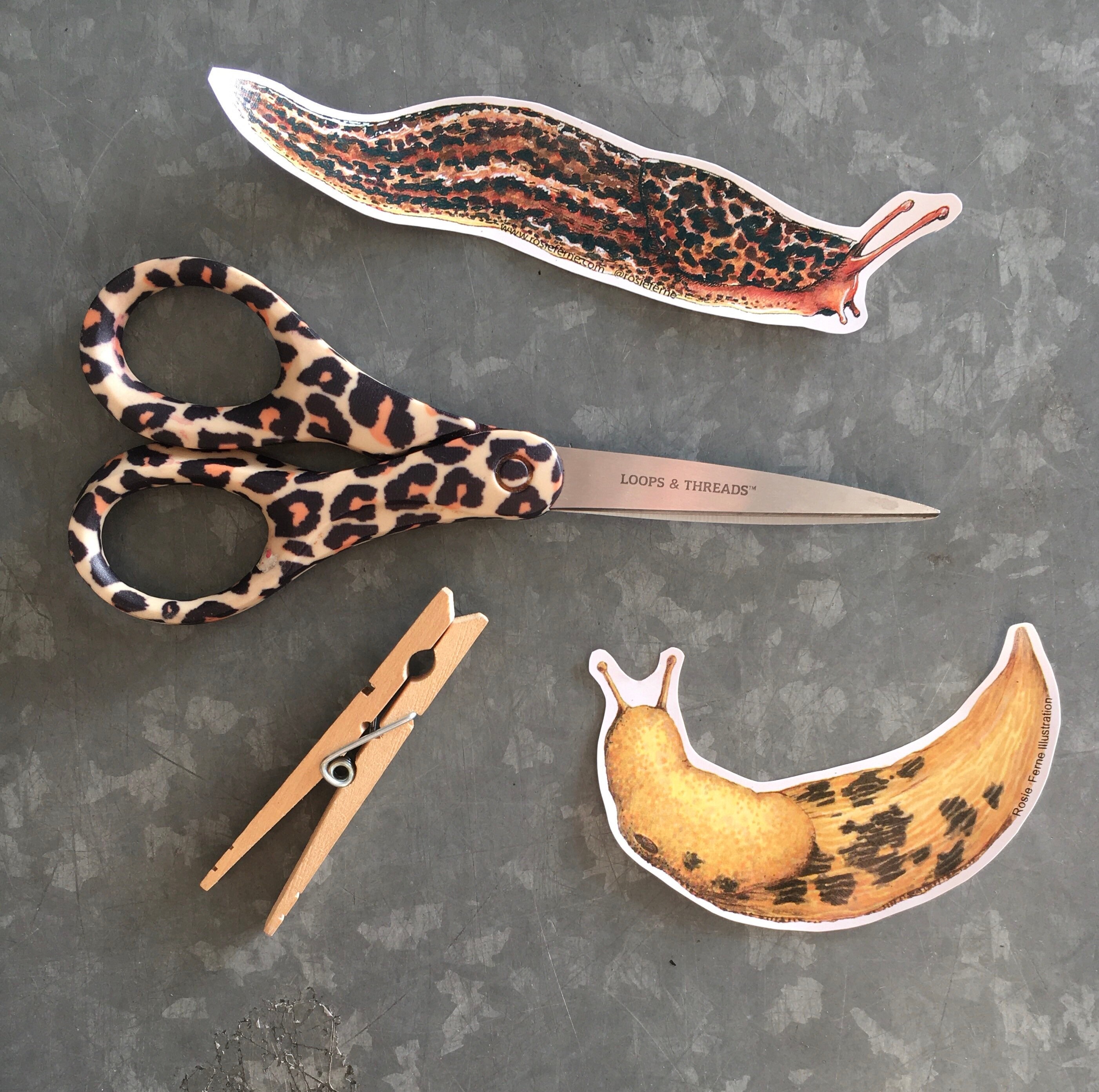 Banana Slug and Leopard Slug Sticker Pack, 2 Vinyl Stickers Pacific ...