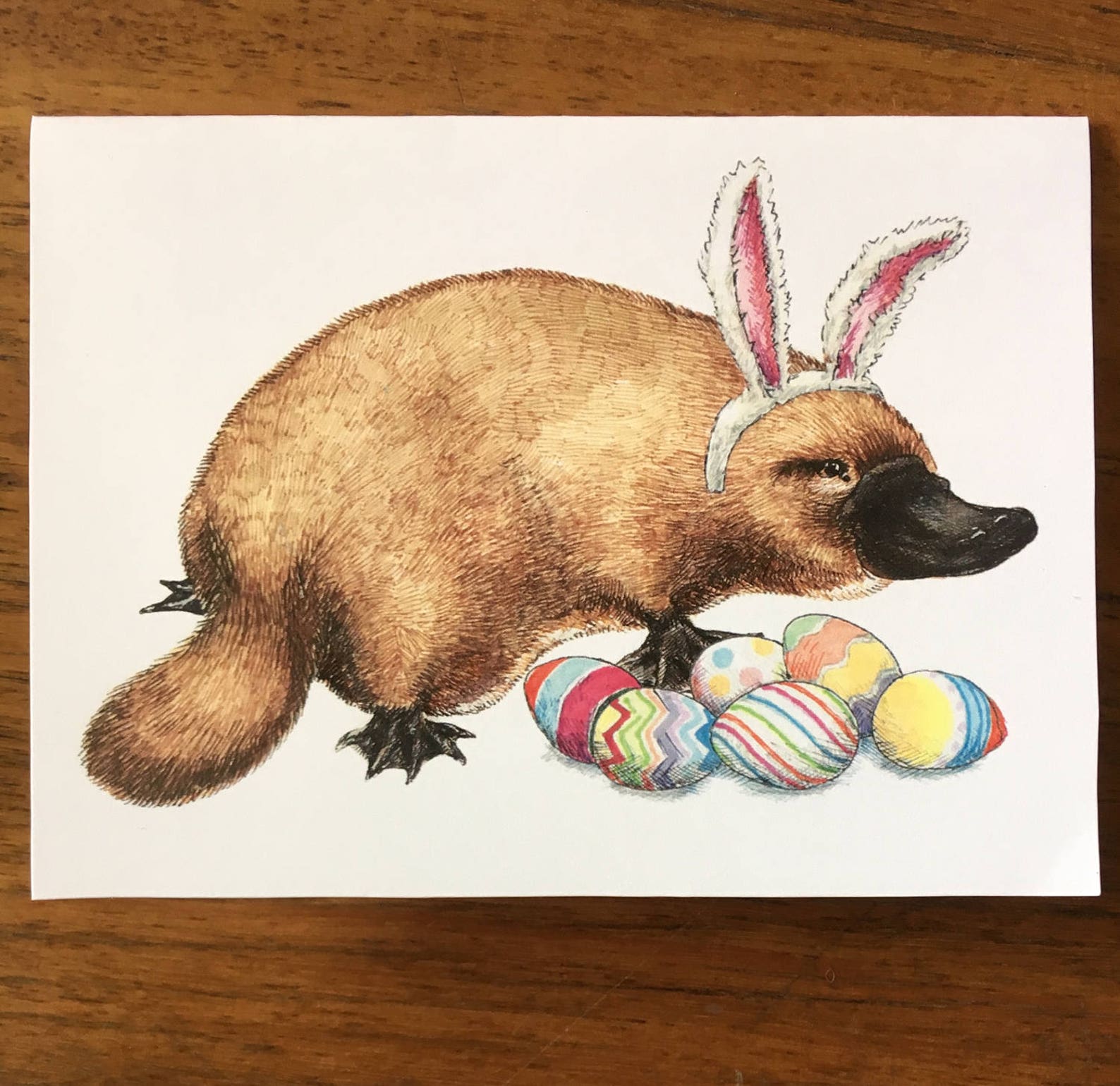 Easter Platypus card Easter card with cute platypus wearing | Etsy