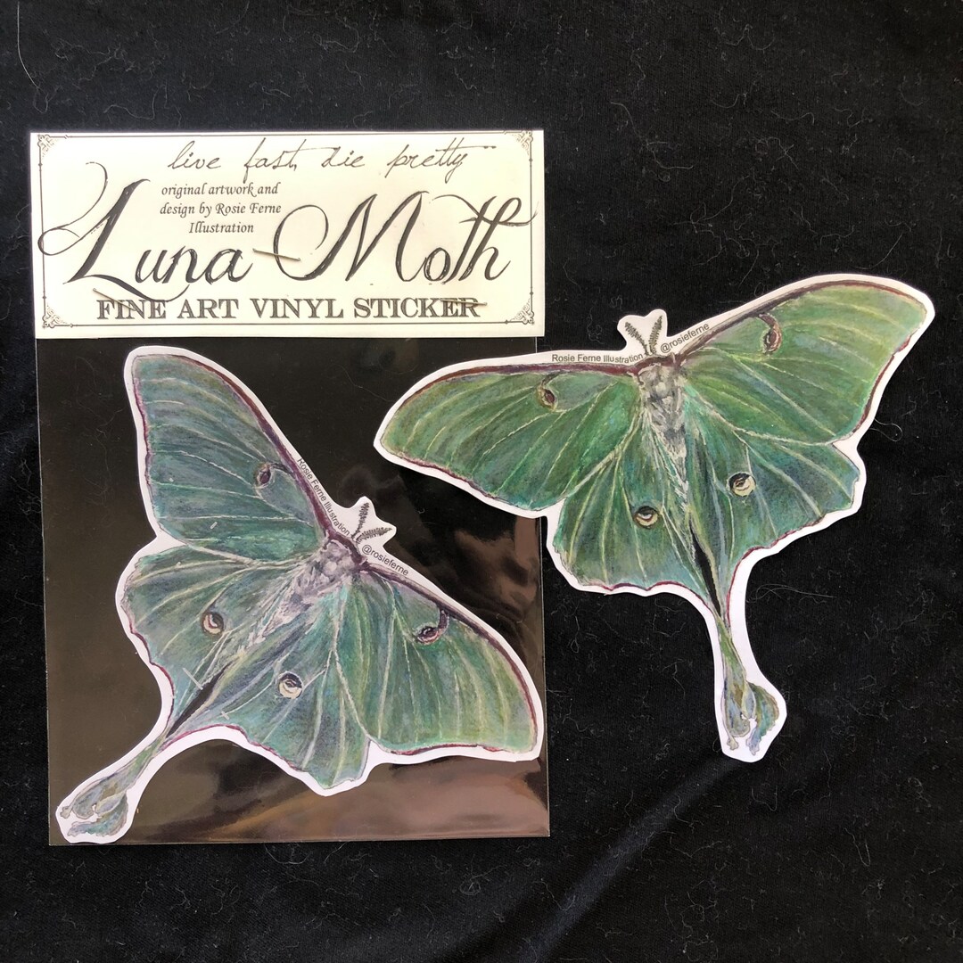 Luna Moth Sticker, Butterfly Vinyl Sticker Nature Gardener Gift Bugs ...