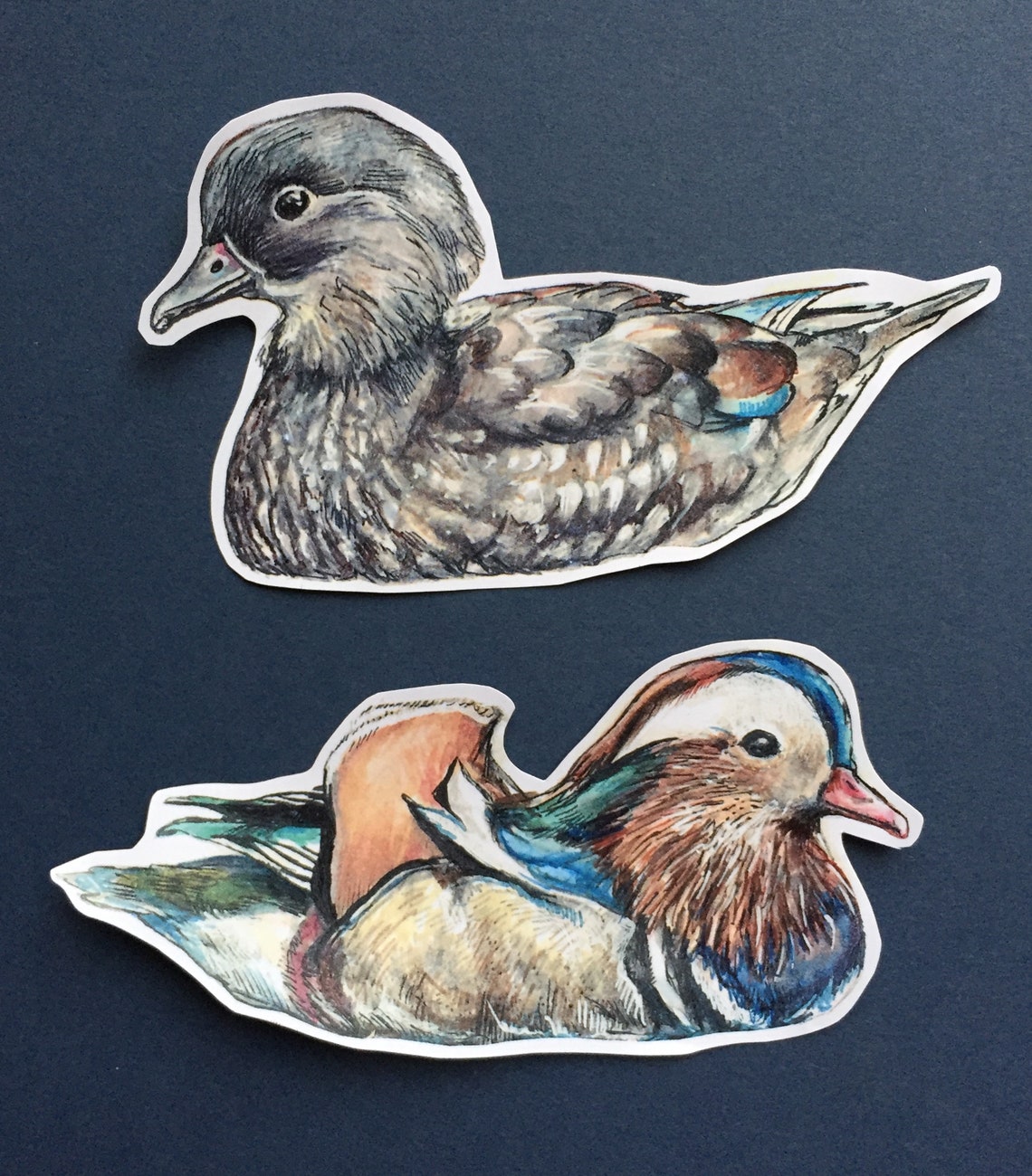 Mandarin Duck Sticker 2 Pack Male and Female Duck Couple | Etsy