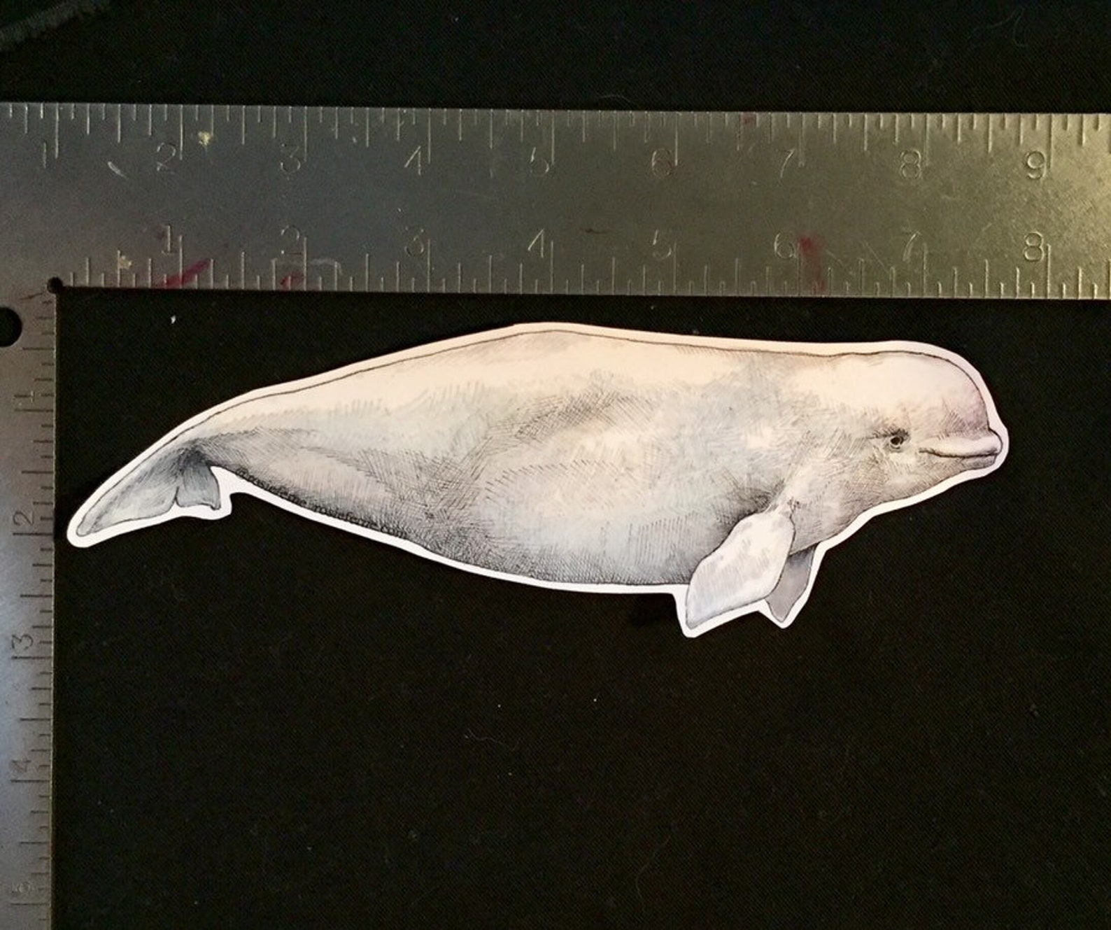 Whale Sticker Giant 7 Vinyl Sticker With Original Whale - Etsy