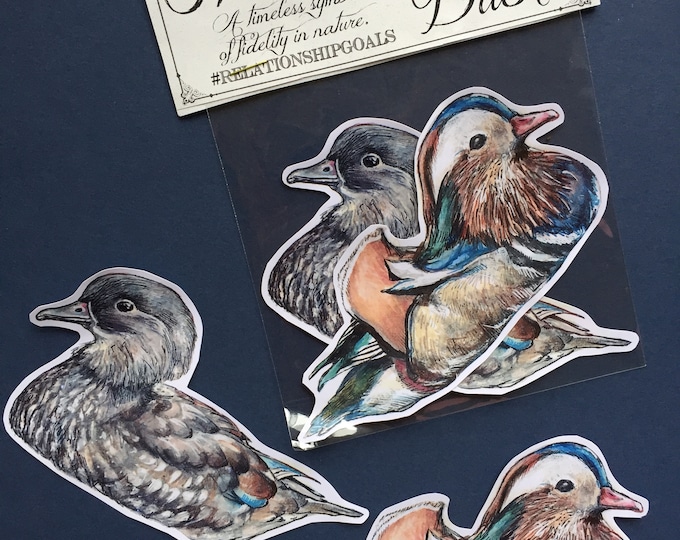 Mandarin Duck Sticker 2 Pack, Male and Female Duck Couple, Couple Gift ...