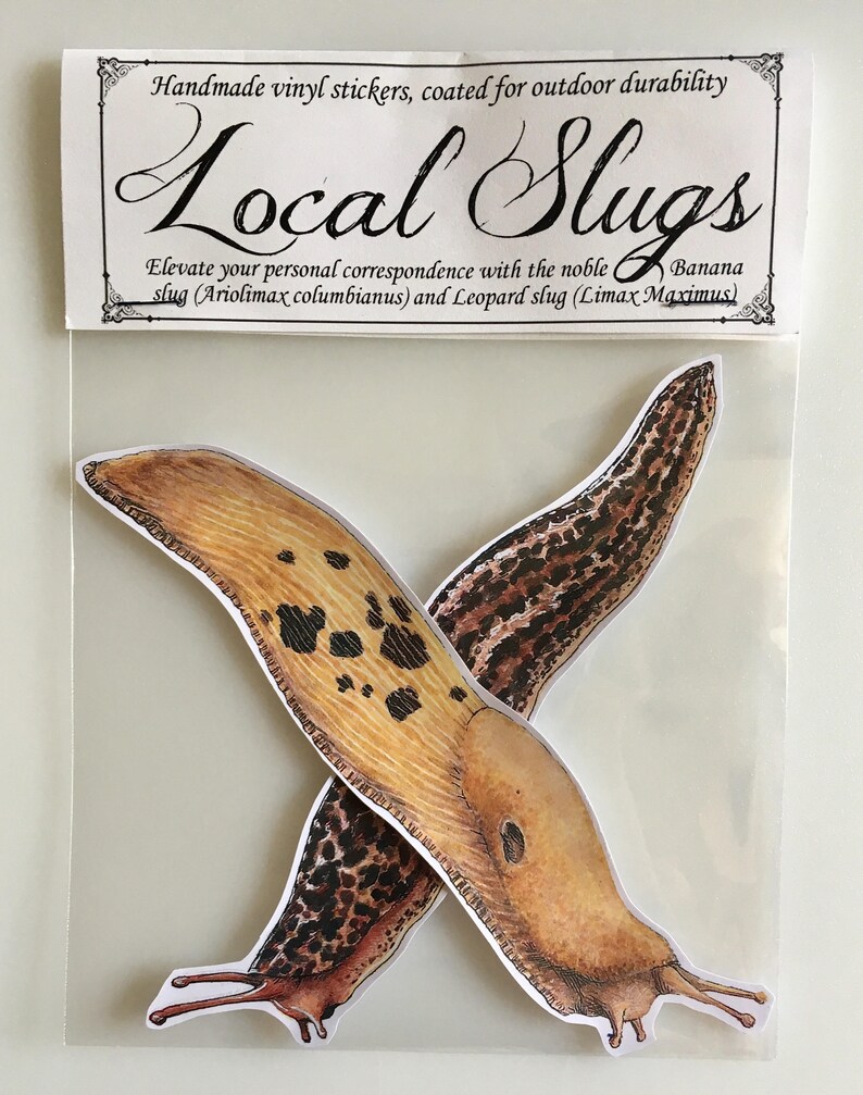 Banana slug and Leopard slug sticker pack 2 vinyl stickers | Etsy