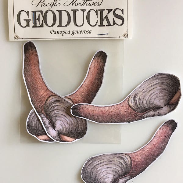 Geoduck - Etsy