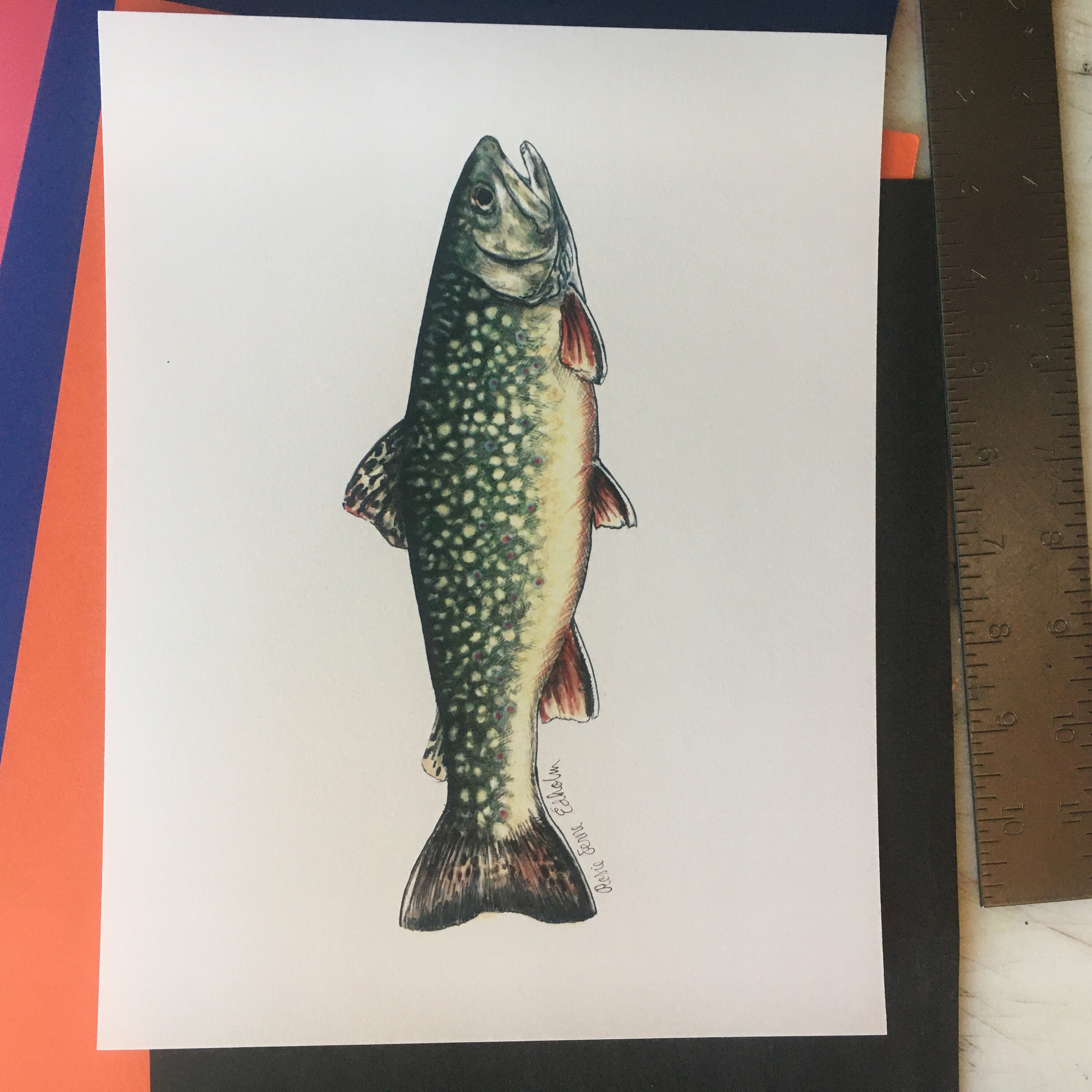 Trout Prints original artwork by Rosie Ferne Edholm | Etsy