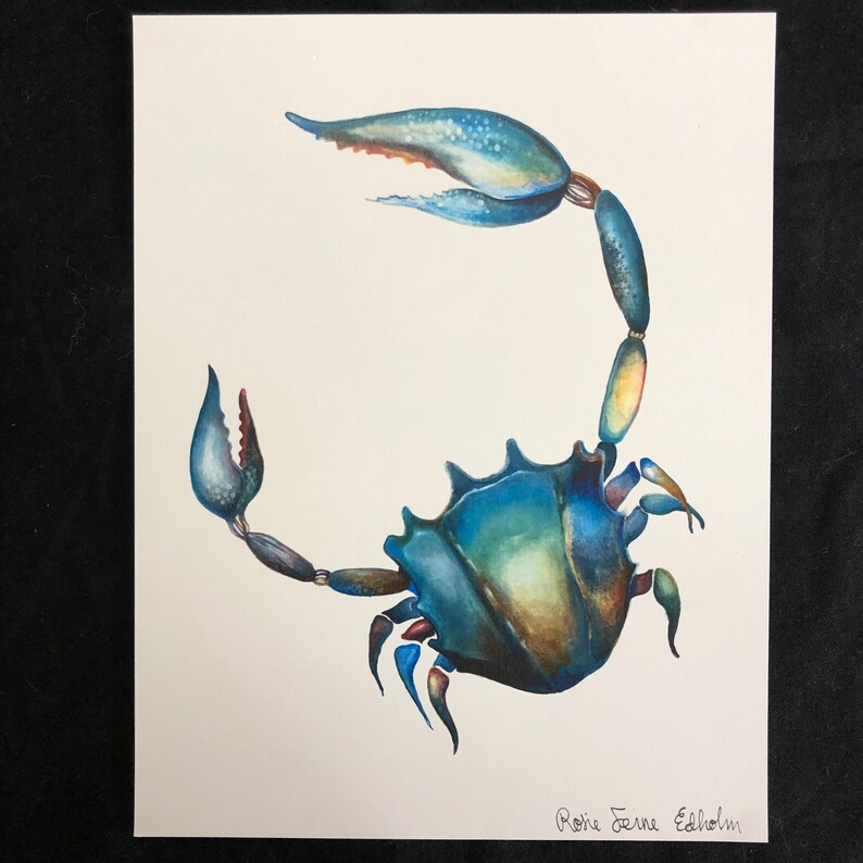 Blue Crab Watercolor Art Print, Original Artwork by Rosie Ferne Edholm ...