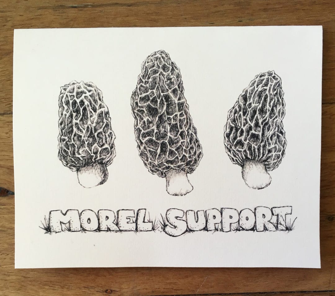 Morel Support Card With Mushroom Illustration, Moral Support Friendship ...