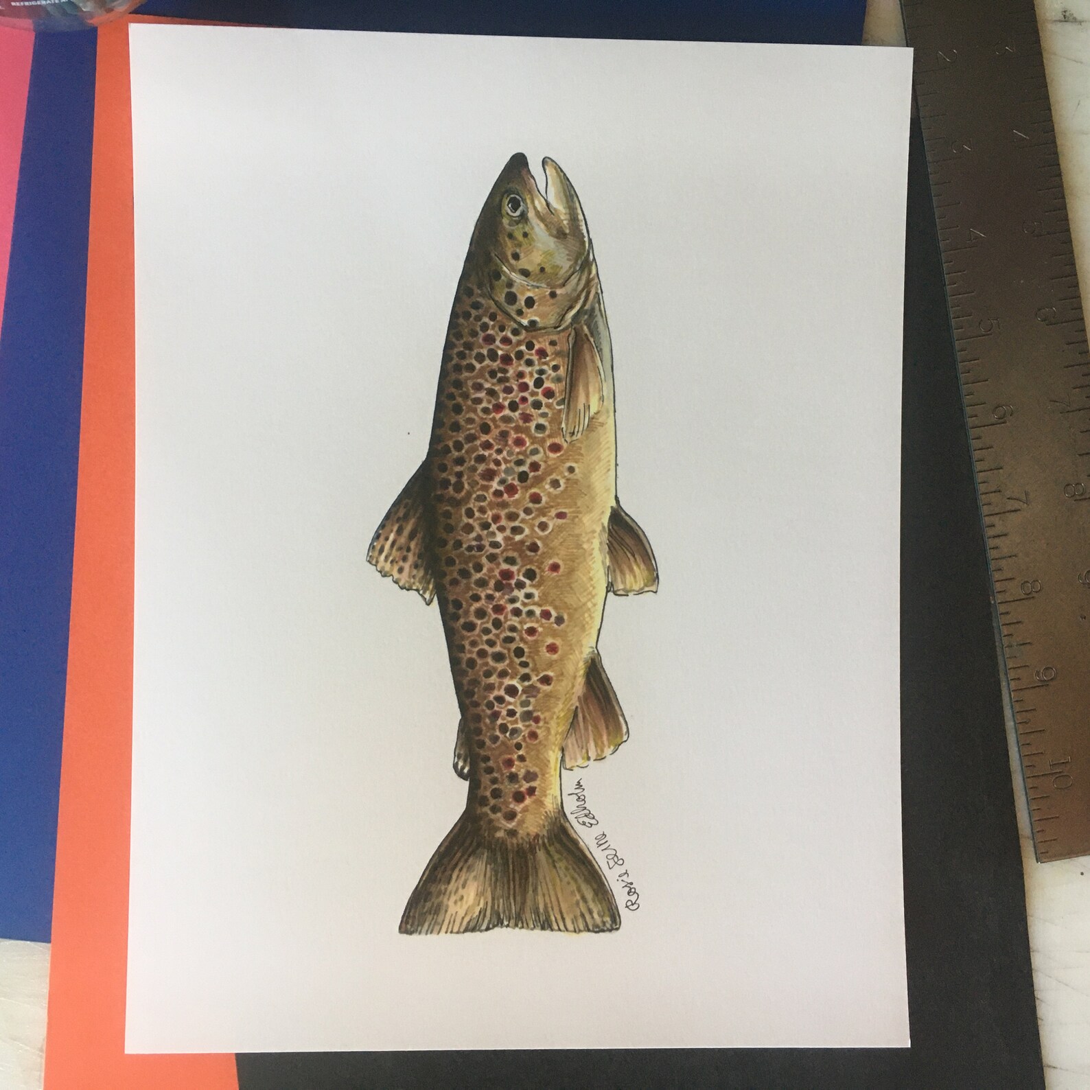 Trout Prints original artwork by Rosie Ferne Edholm | Etsy