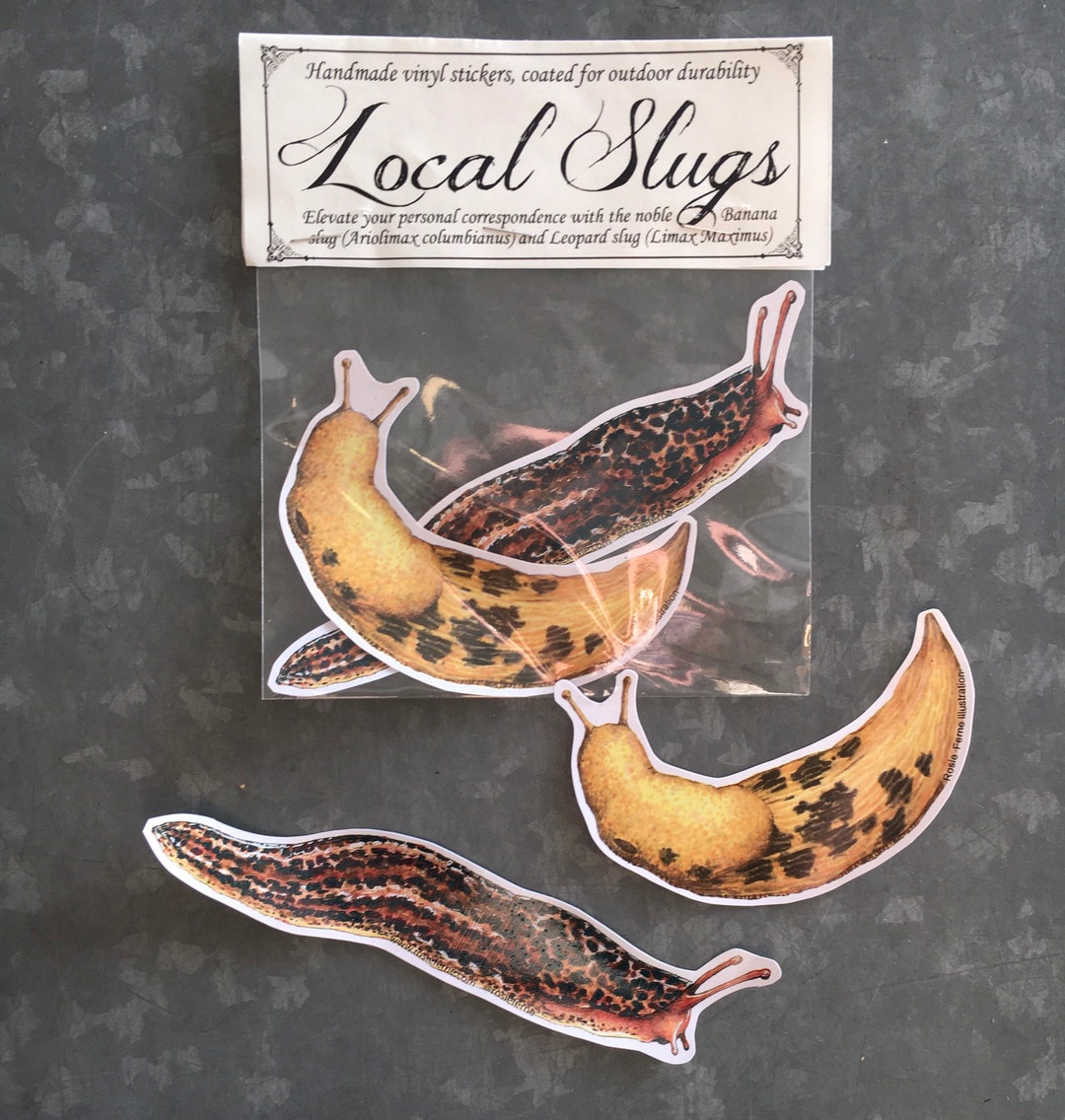 Banana Slug and Leopard Slug Sticker Pack, 2 Vinyl Stickers Pacific ...