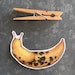 Banana Slug and Leopard Slug Sticker Pack, 2 Vinyl Stickers Pacific ...