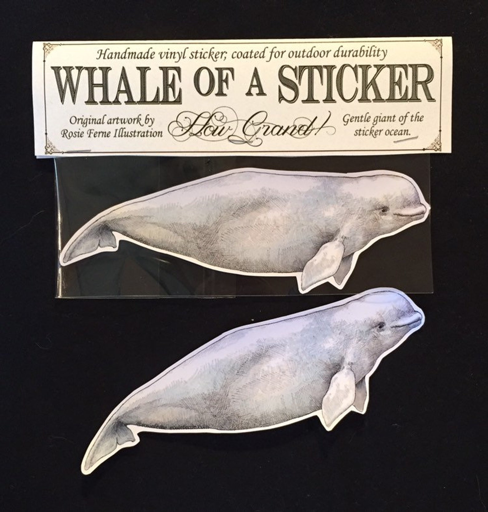 Whale Sticker- Giant 7" Vinyl Sticker With Original Whale Illustration ...