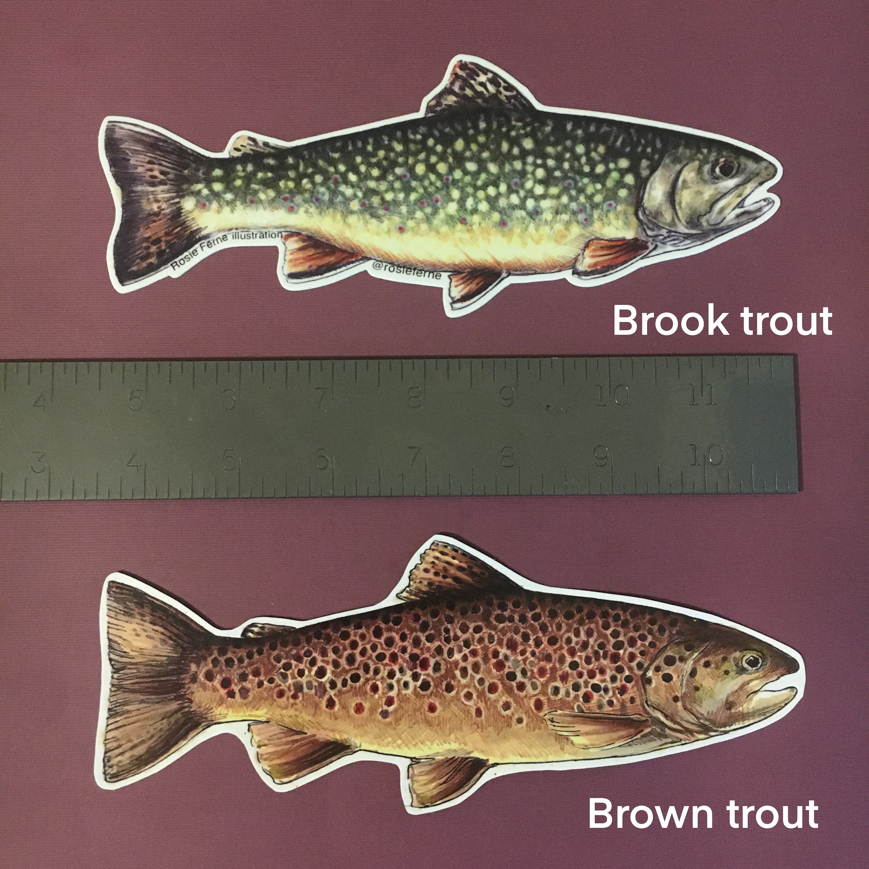 Trout Decals