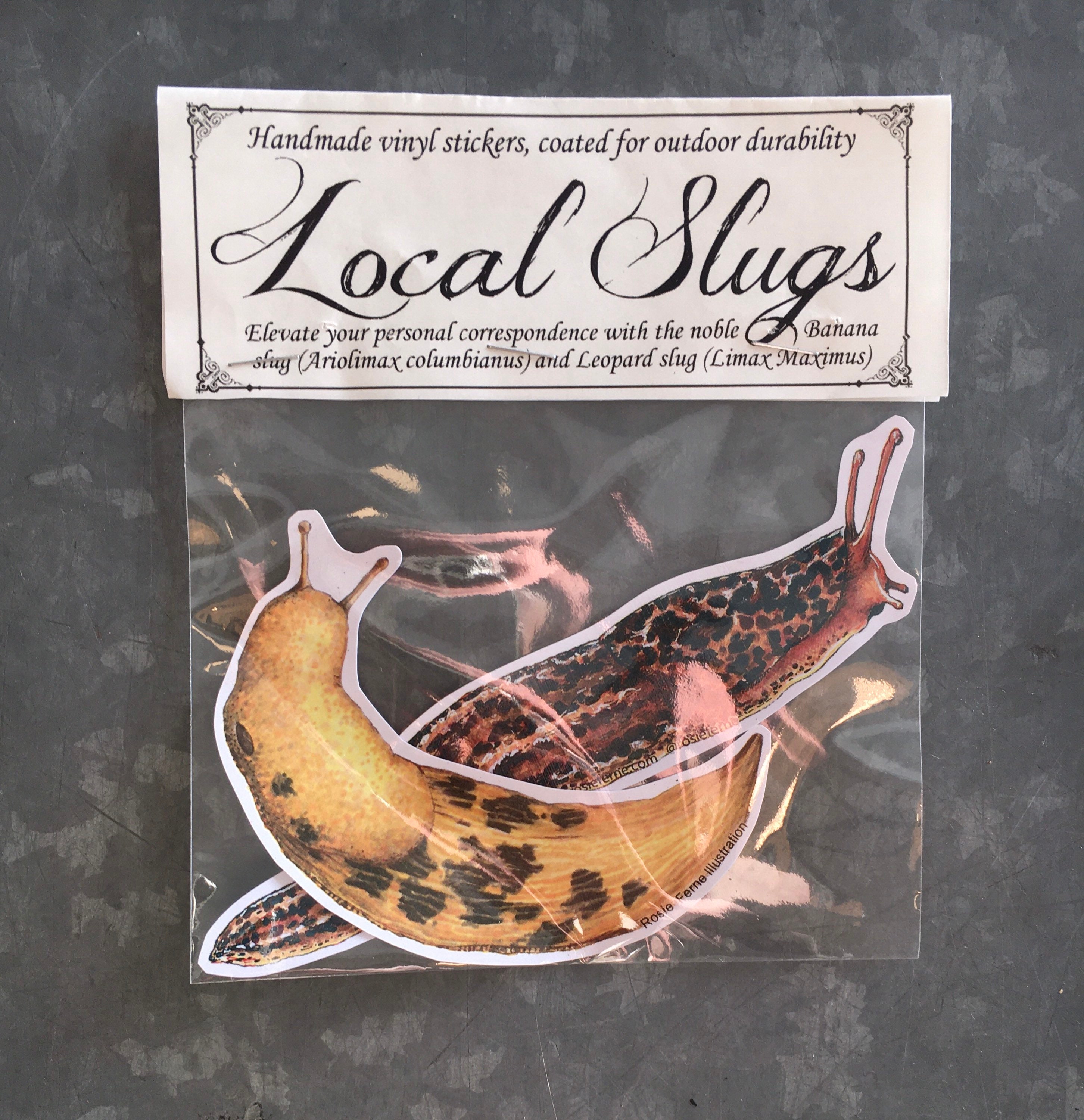 Banana slug and Leopard slug sticker pack 2 vinyl stickers | Etsy