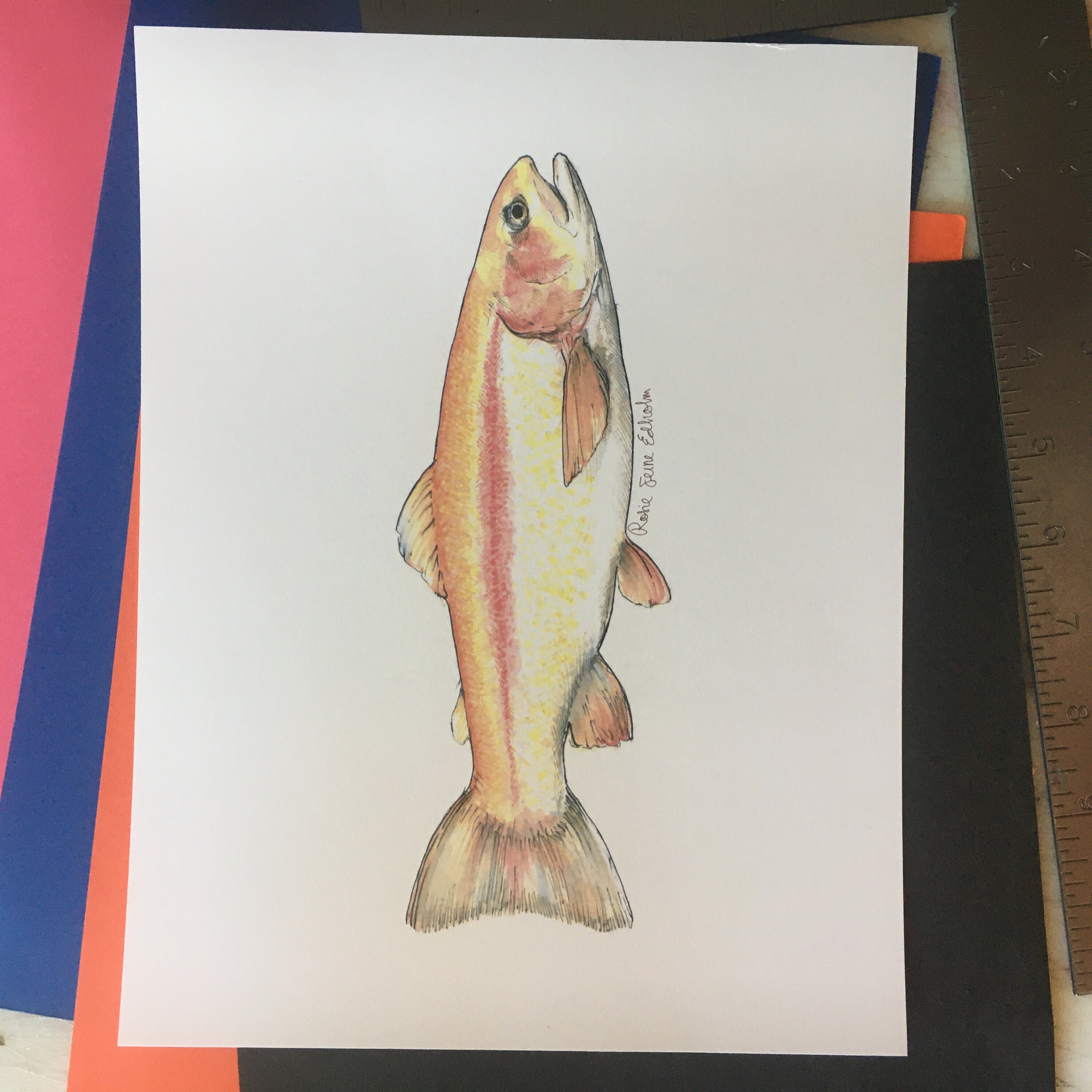 Trout Prints original artwork by Rosie Ferne Edholm | Etsy