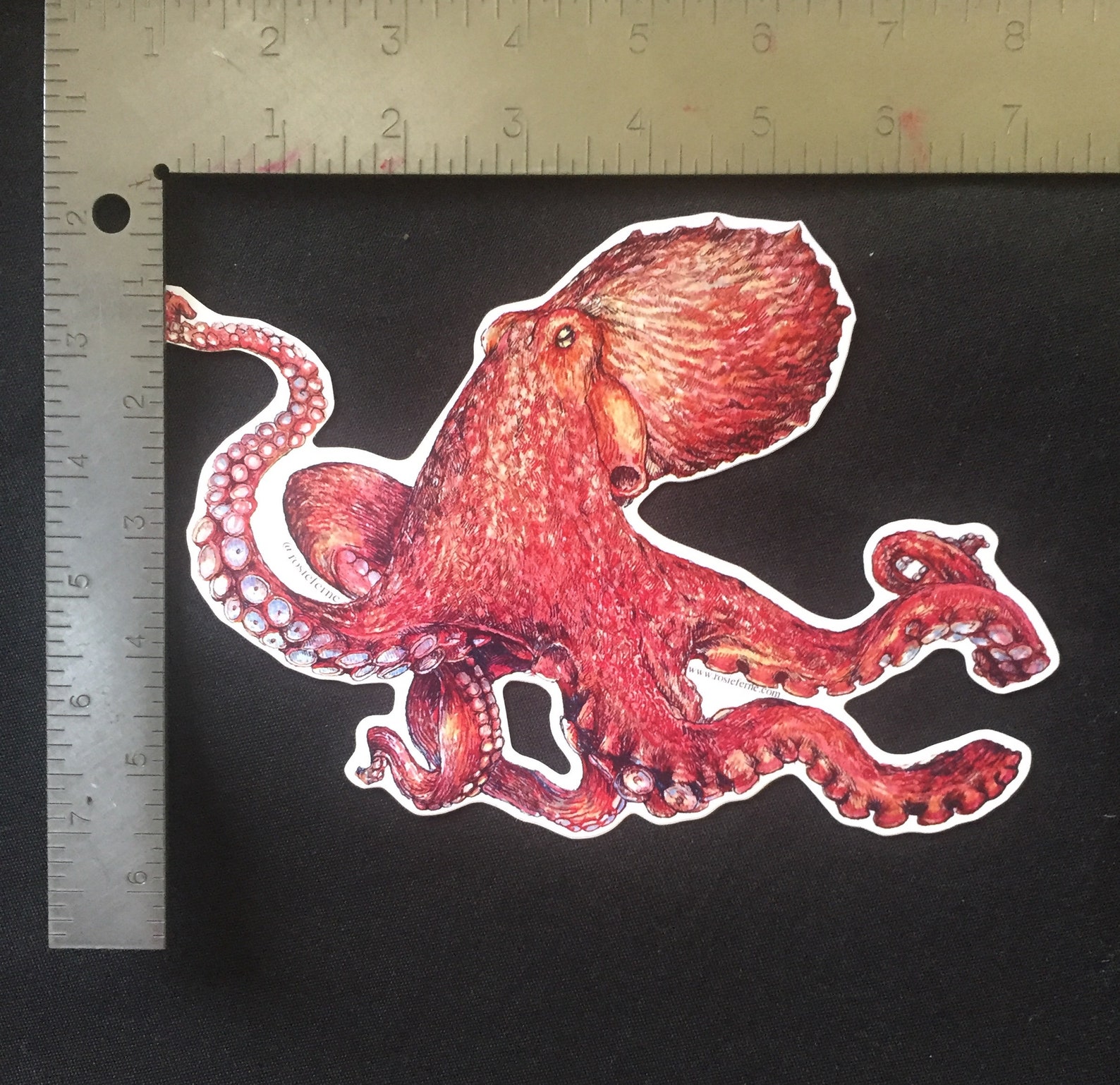 Octopus Art Print, Original Pacific Giant Octopus Pacific Northwest ...