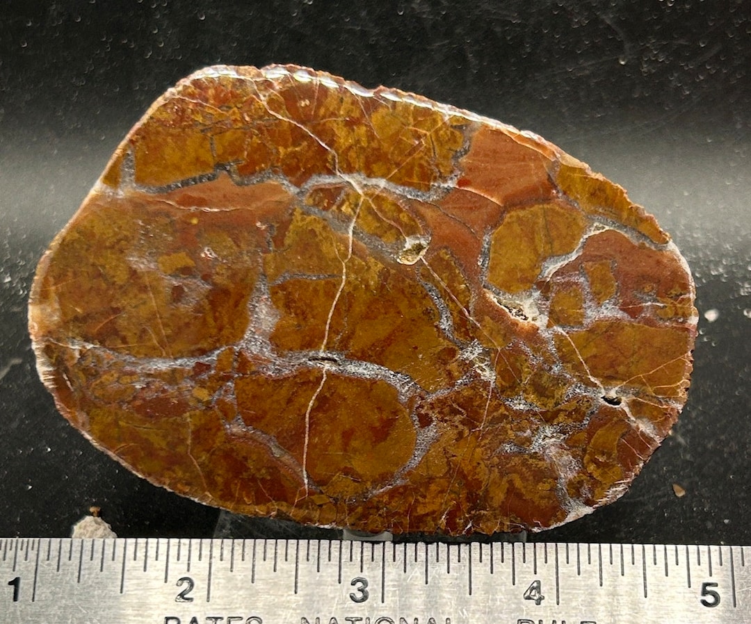 Oregon Jasper Half - Southern Oregon Coast - Etsy