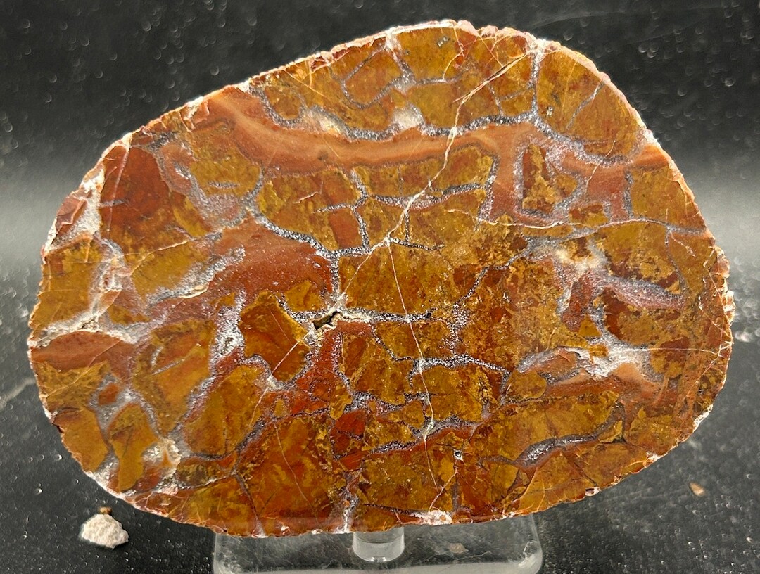 Oregon Jasper Half - Southern Oregon Coast - Etsy
