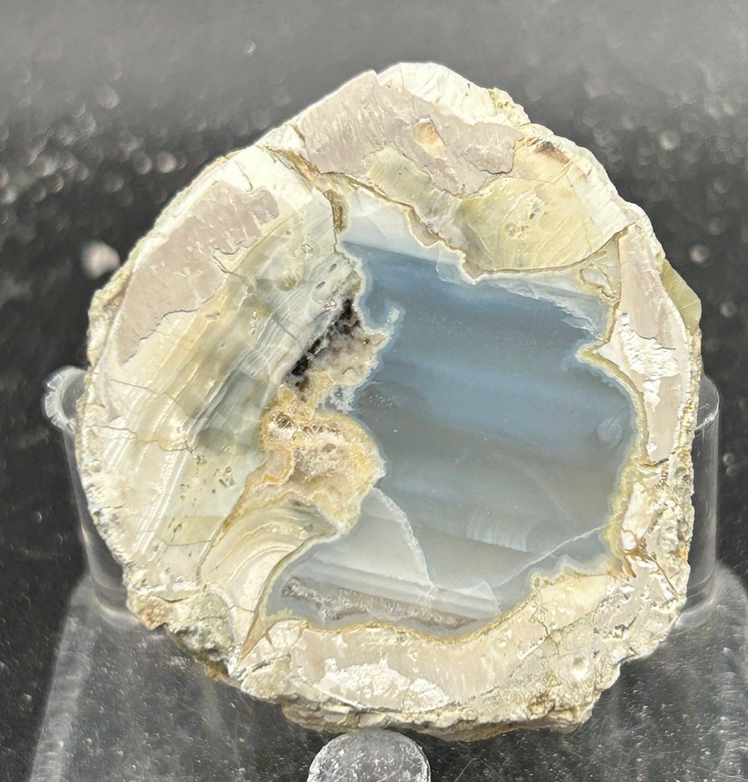 Washington State Thunderegg - Little Naches Bed 1 - Etsy