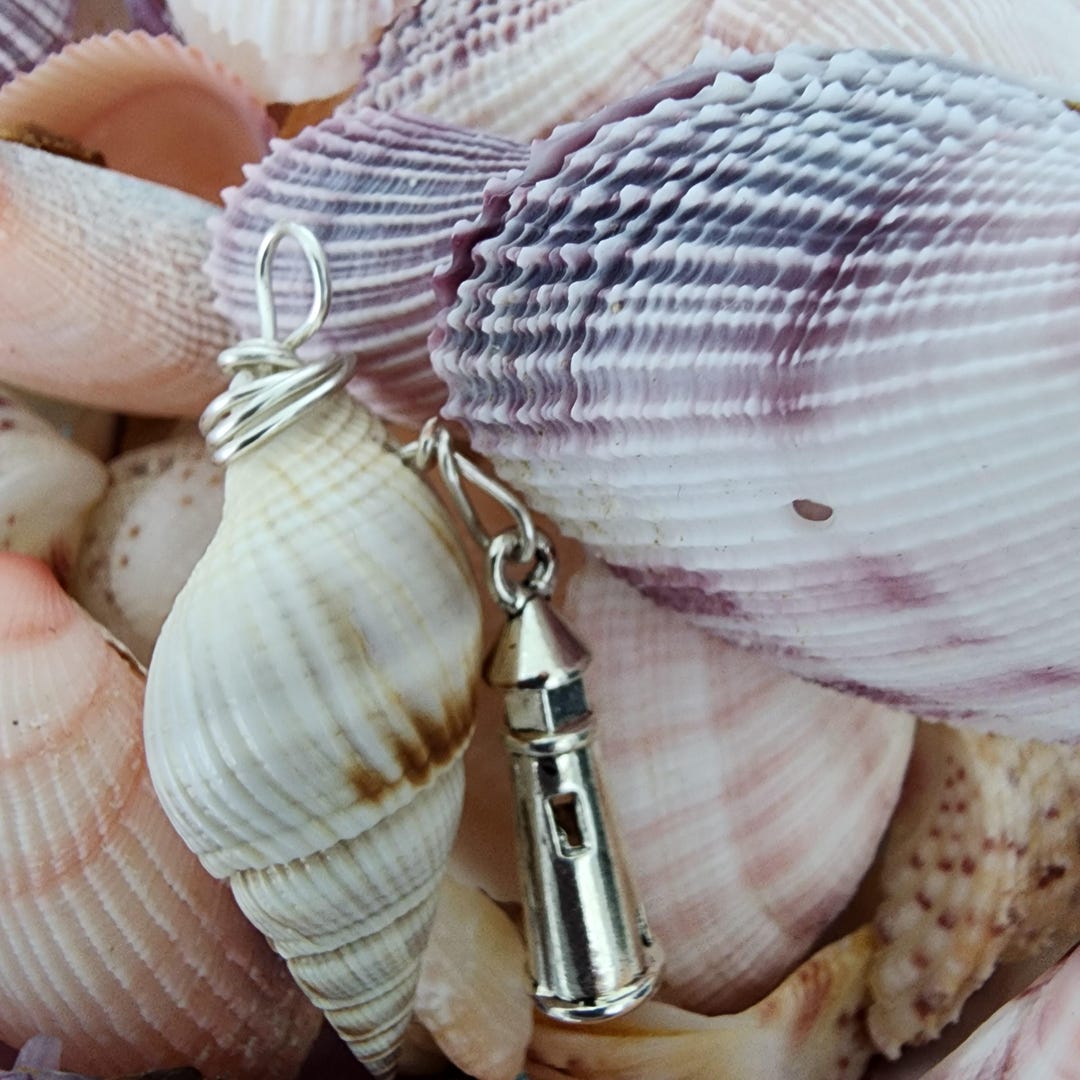 Banded Tulip Shell With Lighthouse Charm. - Etsy