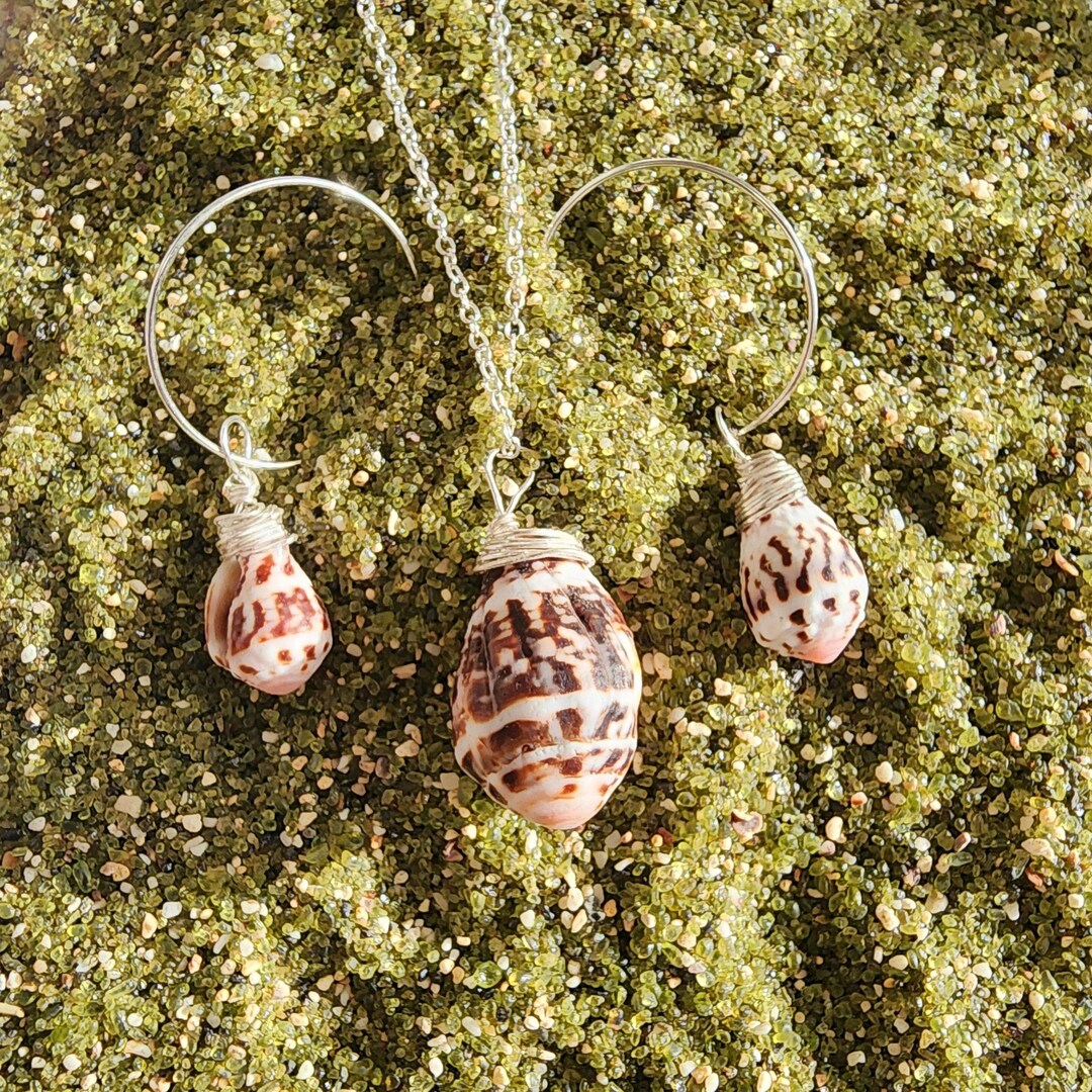 Hebrew Cone Shell Set. 5 - Etsy