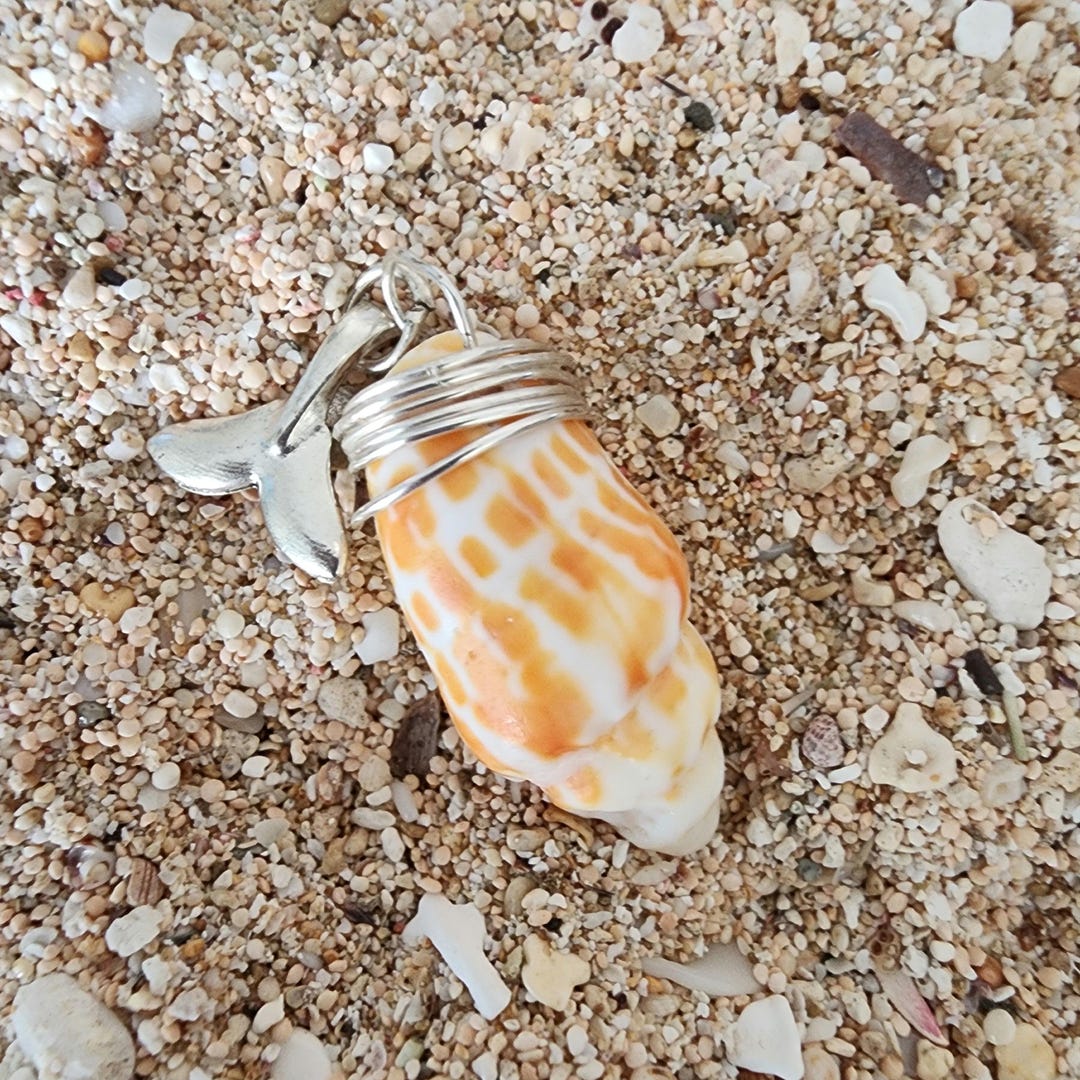 Mitre Shell With Whale Tail Charm. - Etsy