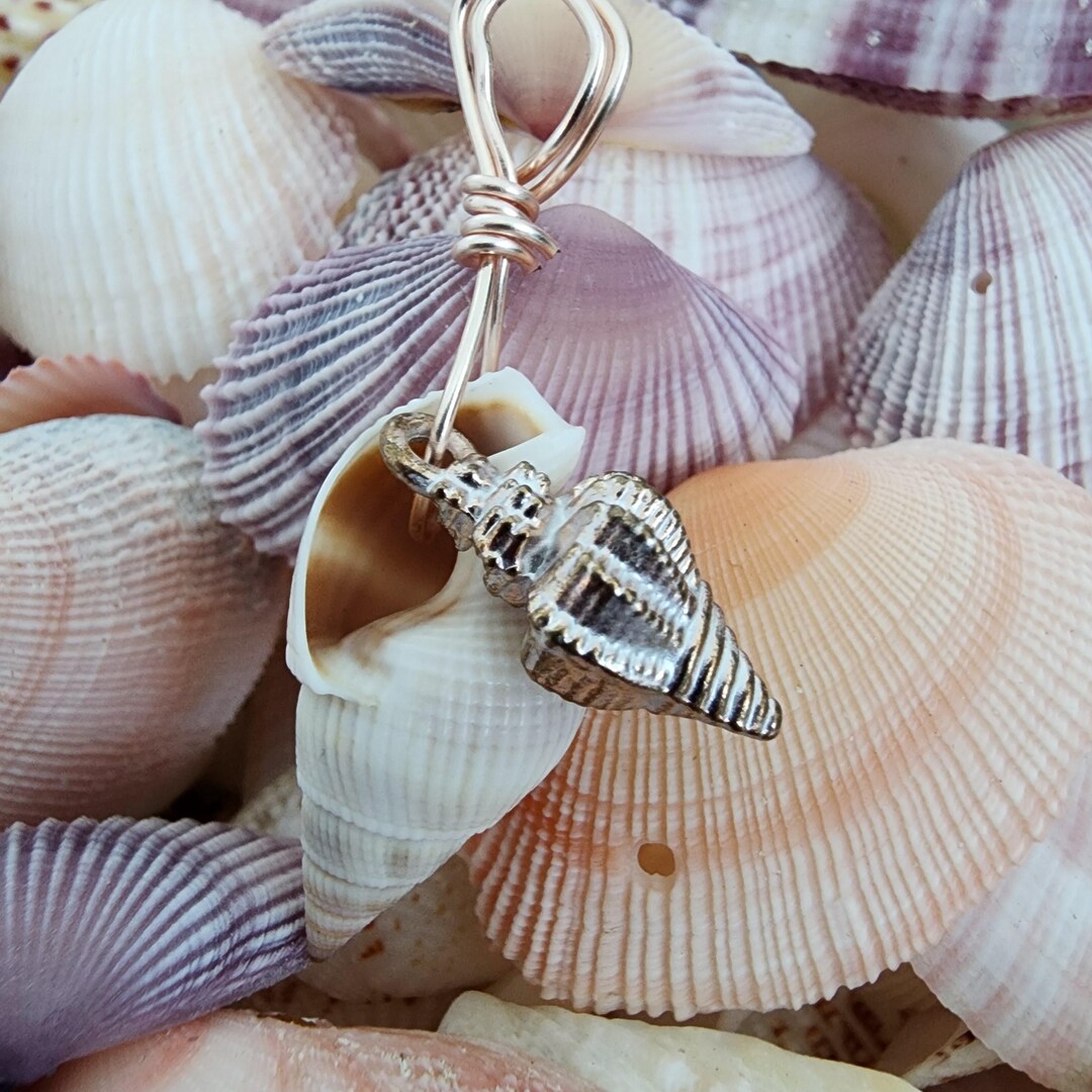 Banded Tulip Shell With Shell Charm. - Etsy