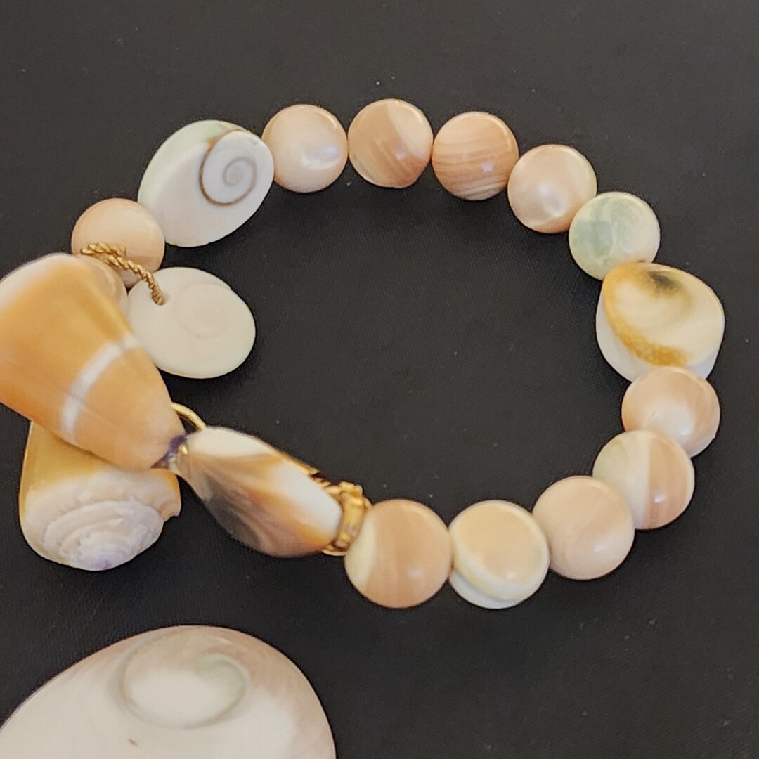 Brown ABC Cone Shells With Charm, Shivas Eye Shell Beads. - Etsy