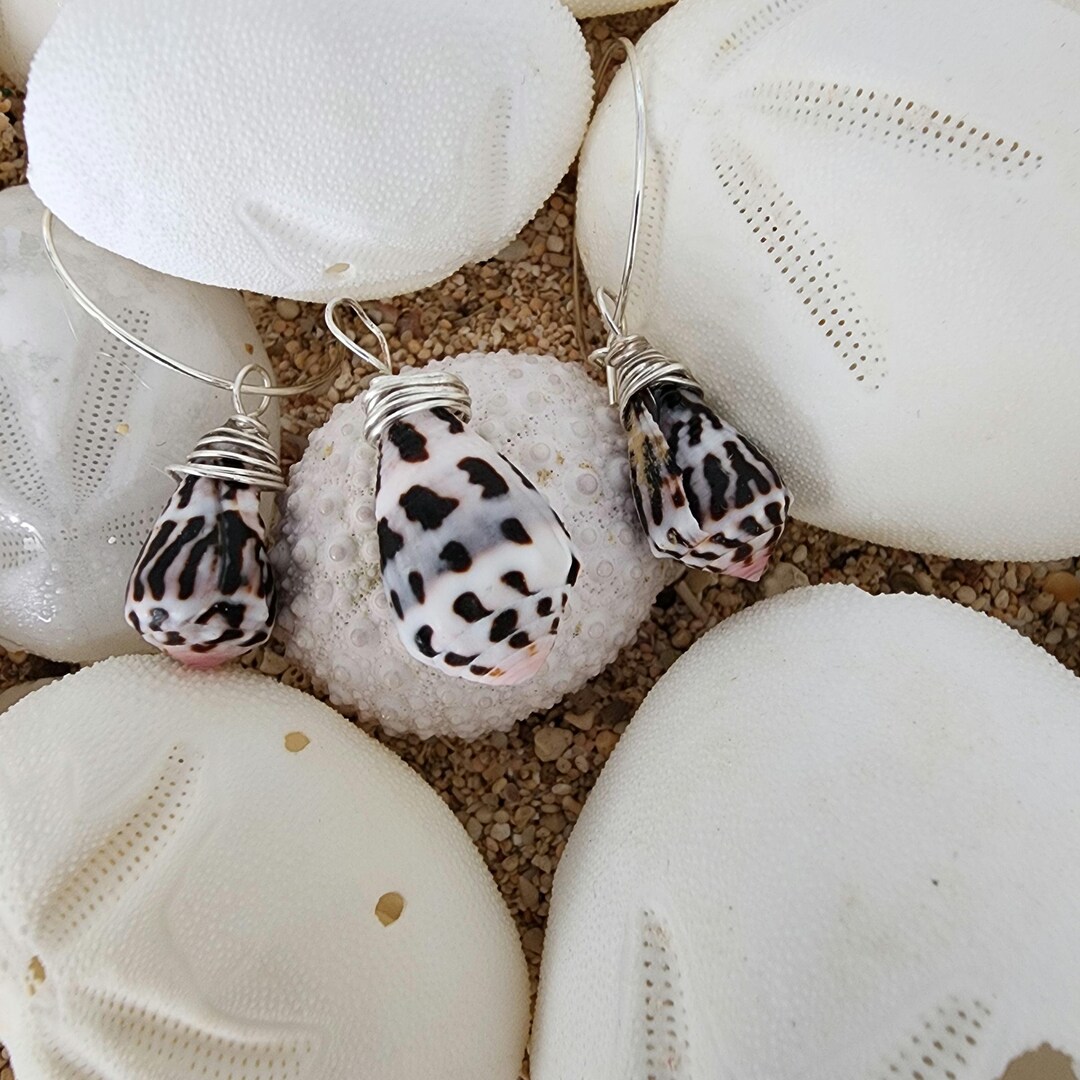 Hebrew Cone Shell Set. 1 - Etsy