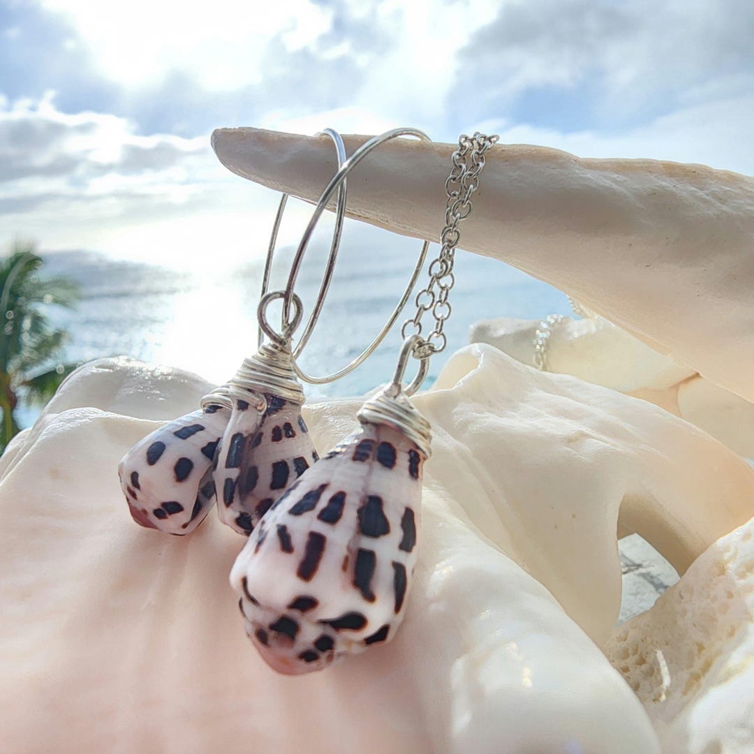 Hebrew Cone Shell Set. 4 - Etsy