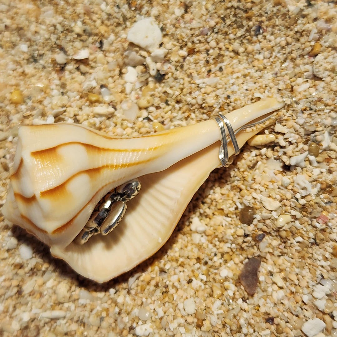 Large Welk Shell With SP Turtle Charm Sand Sterling Wire Wrap. - Etsy