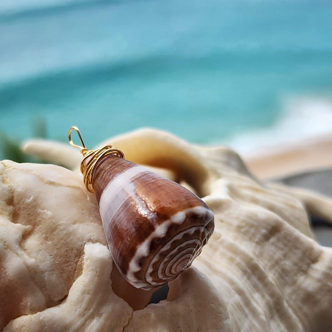 ABC Cone Shell With Gold-plated Wire Wrap. - Etsy